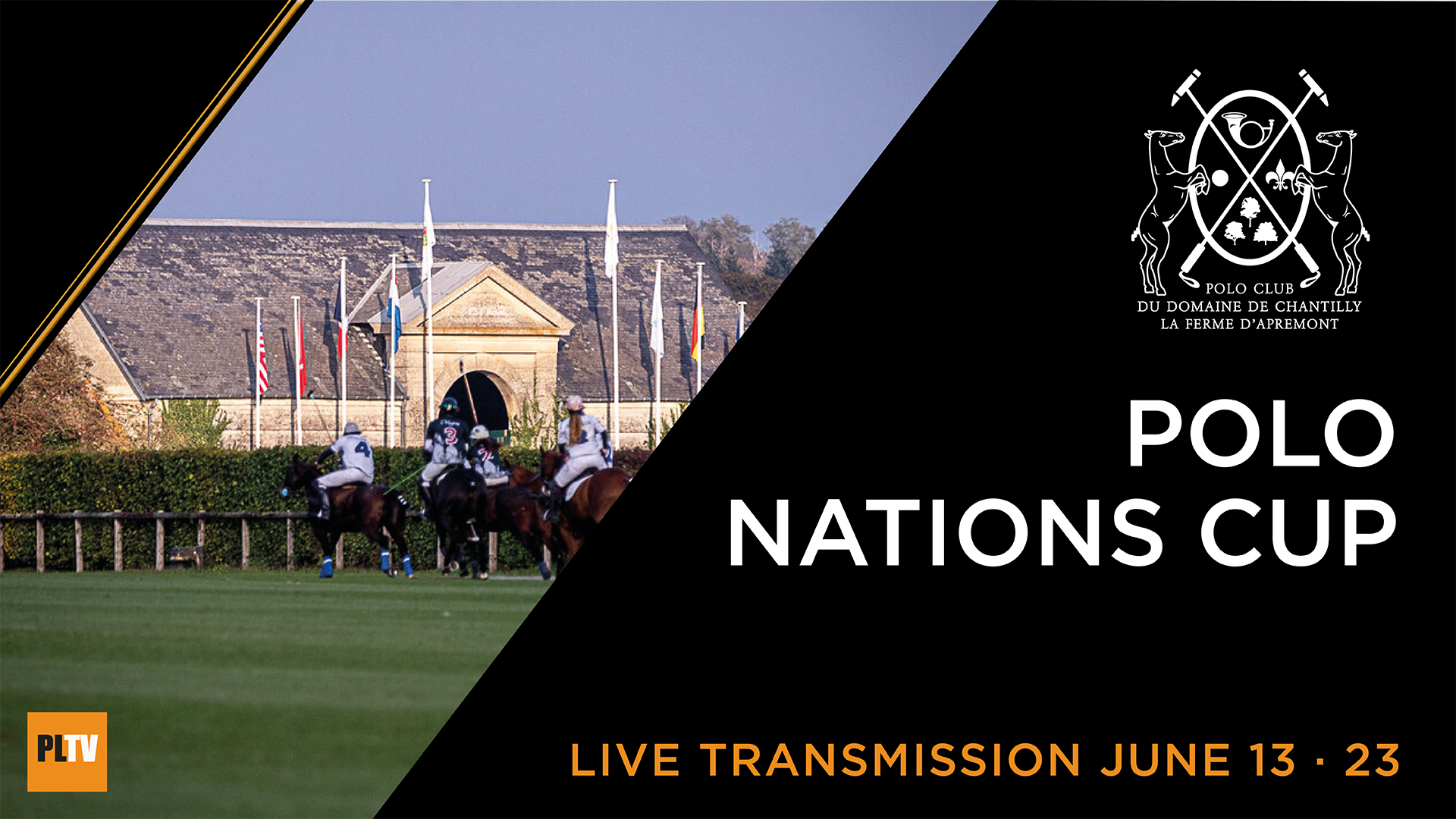 PoloLine.TV | LIVE