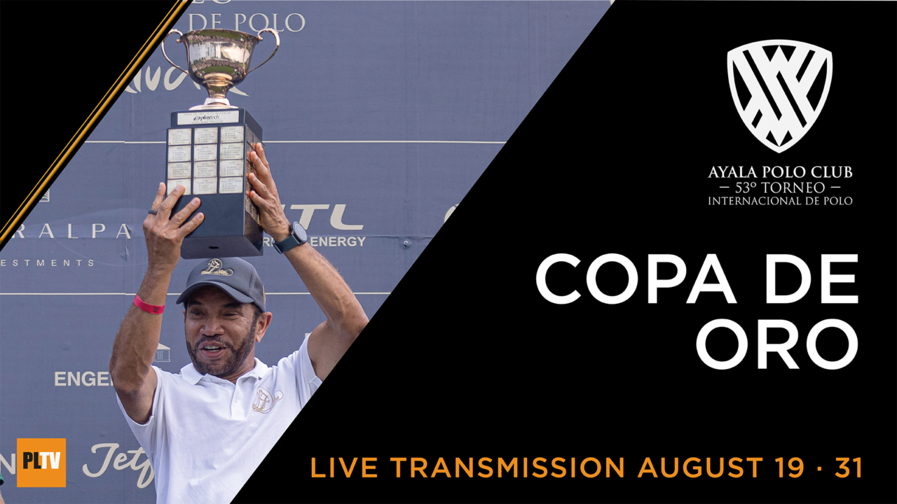 PoloLine.TV | LIVE