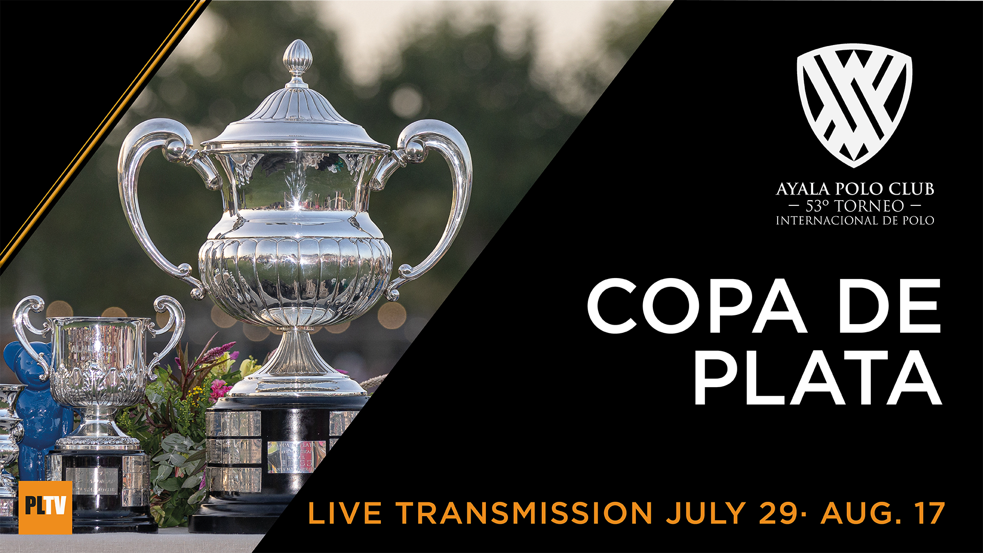 PoloLine.TV | LIVE