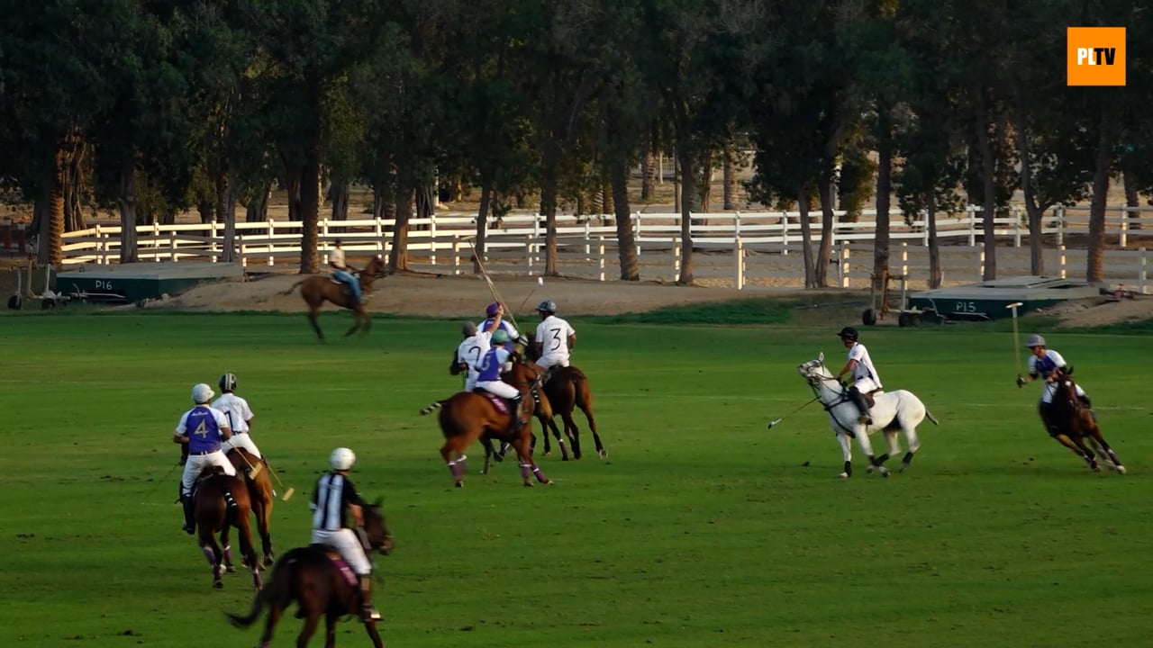 PoloLine.TV | Dubai Silver Cup 2024 - Habtoor Polo vs UAE Polo