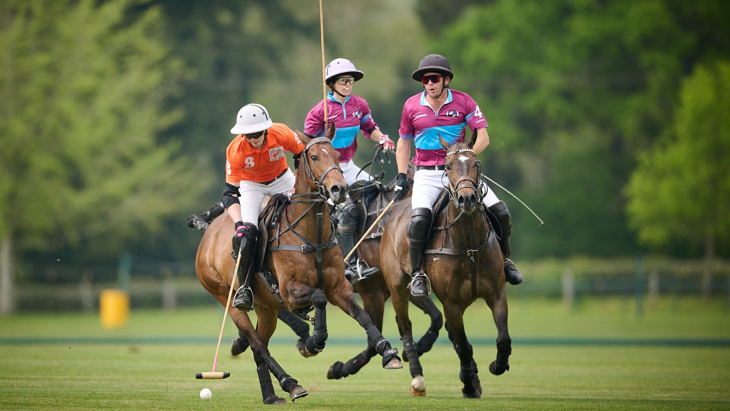 PoloLine.TV | Tyro Cup 2024 - Cowdray Vikings vs DJ Cats