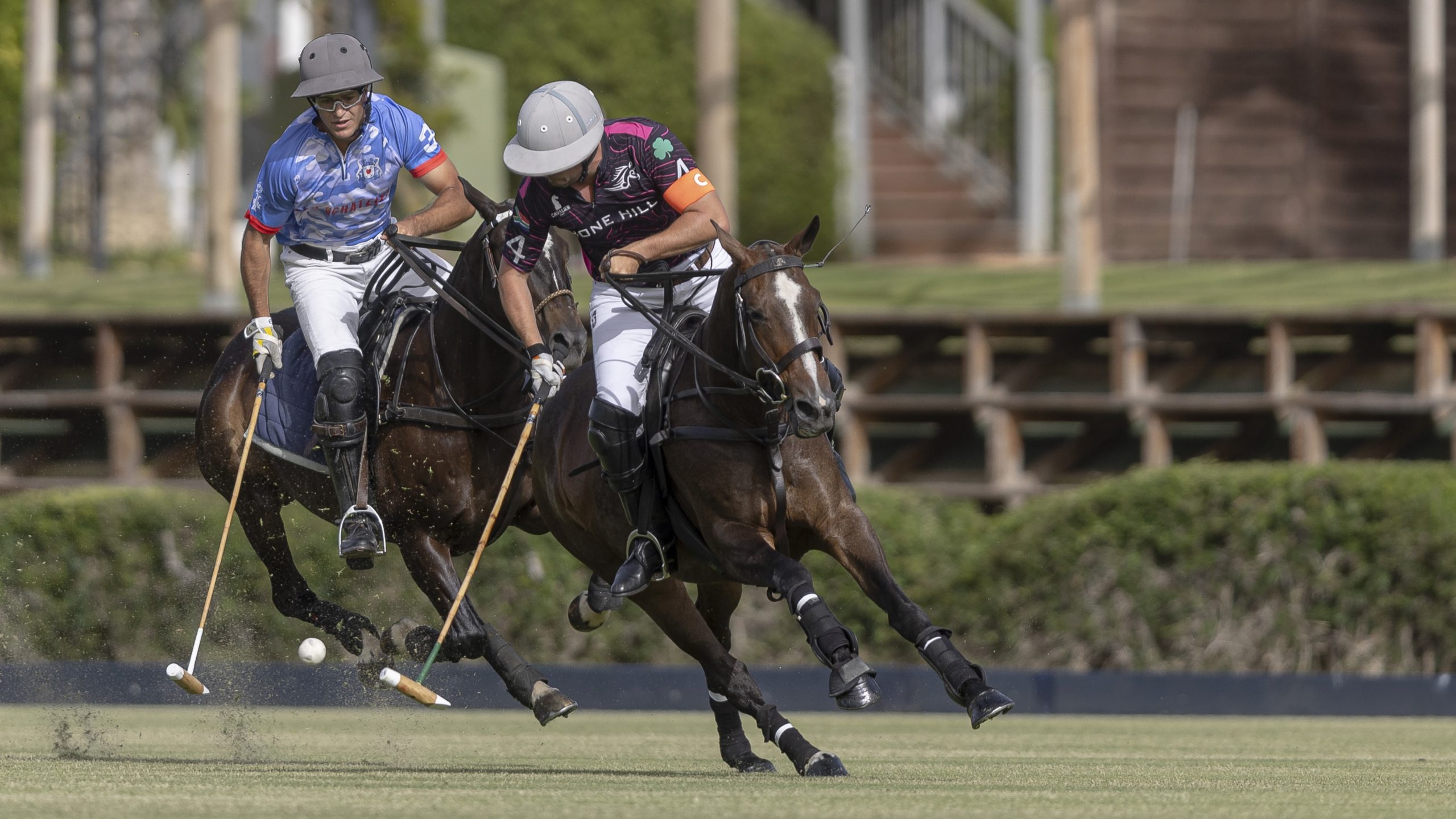 PoloLine.TV | Copa Joseph McMicking - Los Schatzies vs Rhone hill 06-06-24