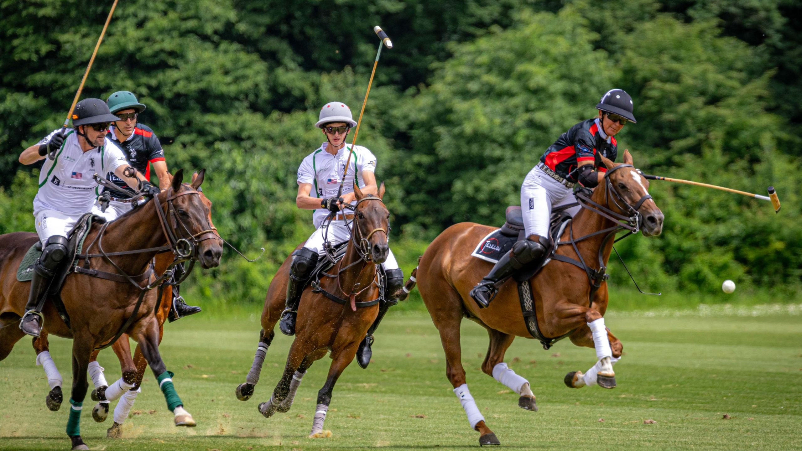 PoloLine.TV | Polo Nations Cup 2024 - Illinois Usa vs Occitanie France