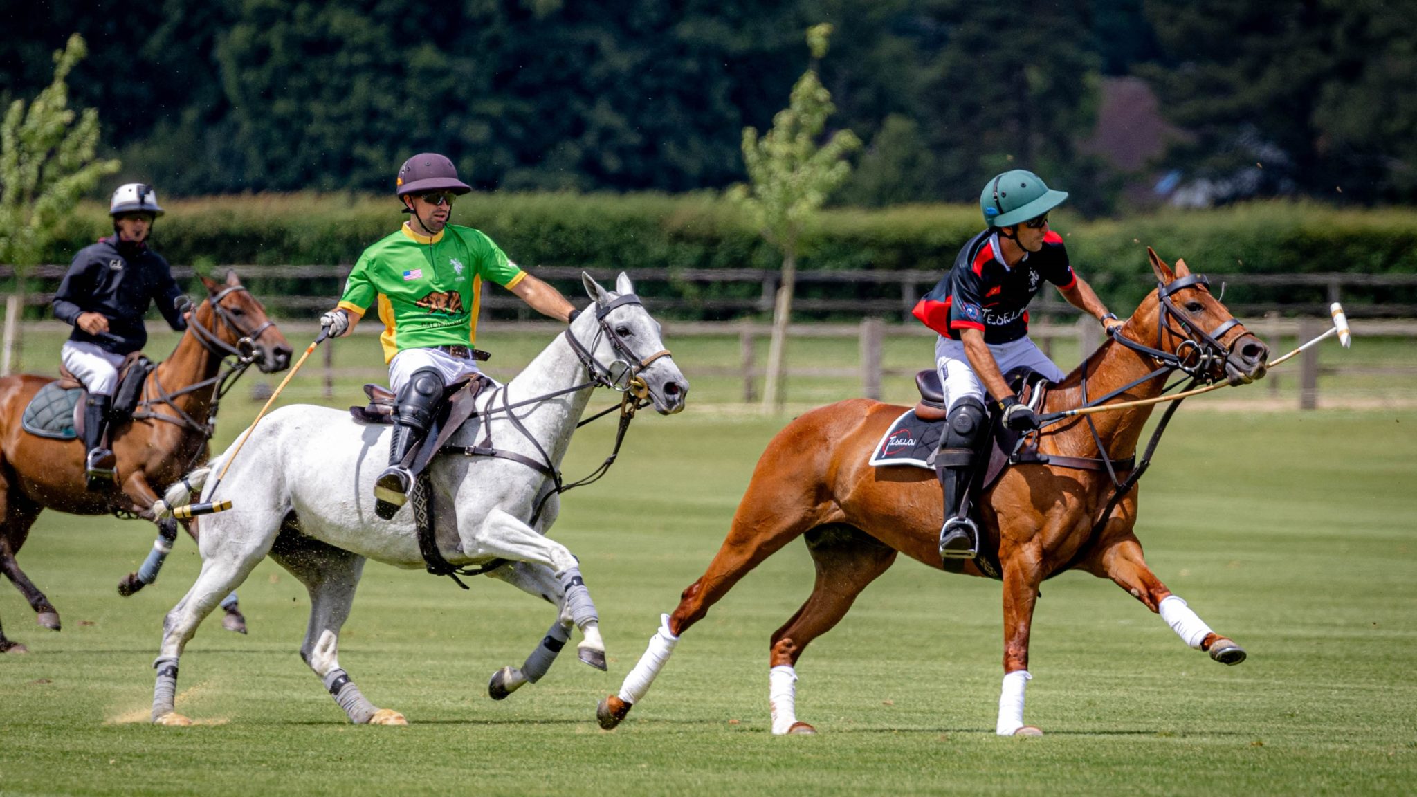 PoloLine.TV | Homepage