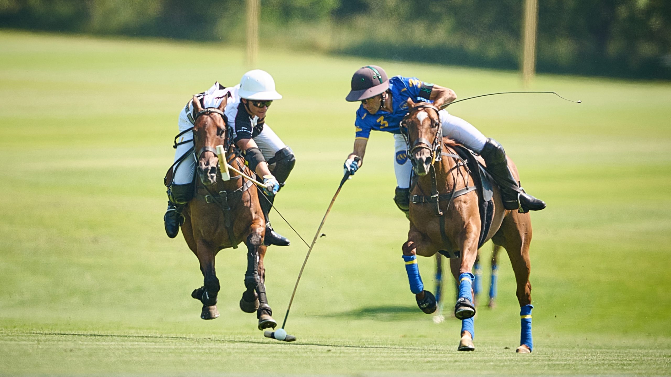 PoloLine.TV | British Open 2024 - Park Place vs UAE Polo Team