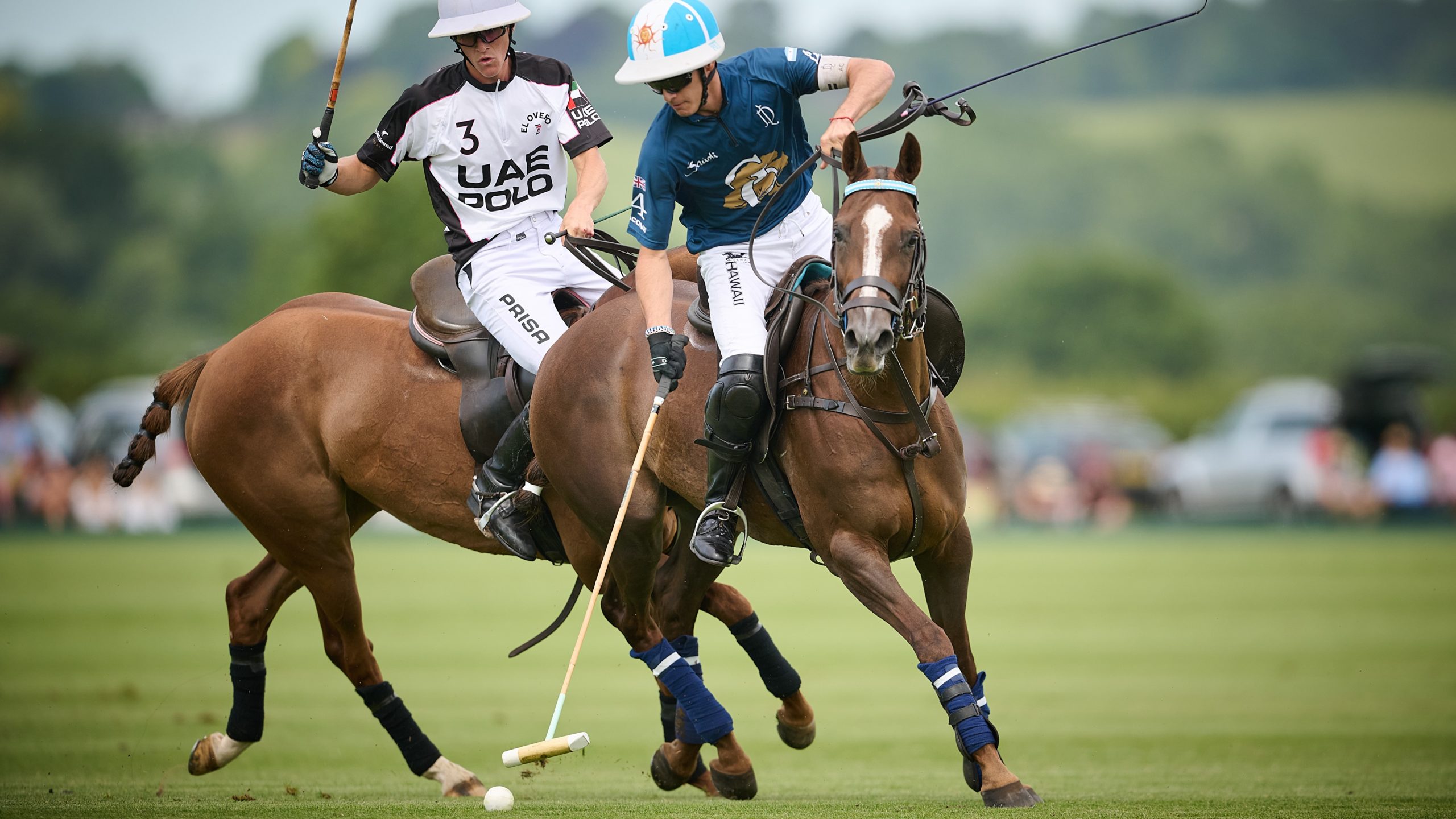 PoloLine.TV | British Open 2024 - La Dolfina Great Oaks vs Uae Polo