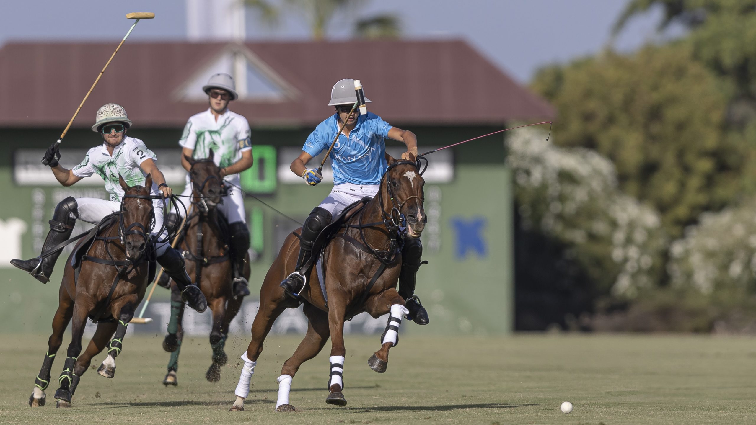 PoloLine.TV | Copa de Plara Mediano 2024 - Electric Polo vs Amanara