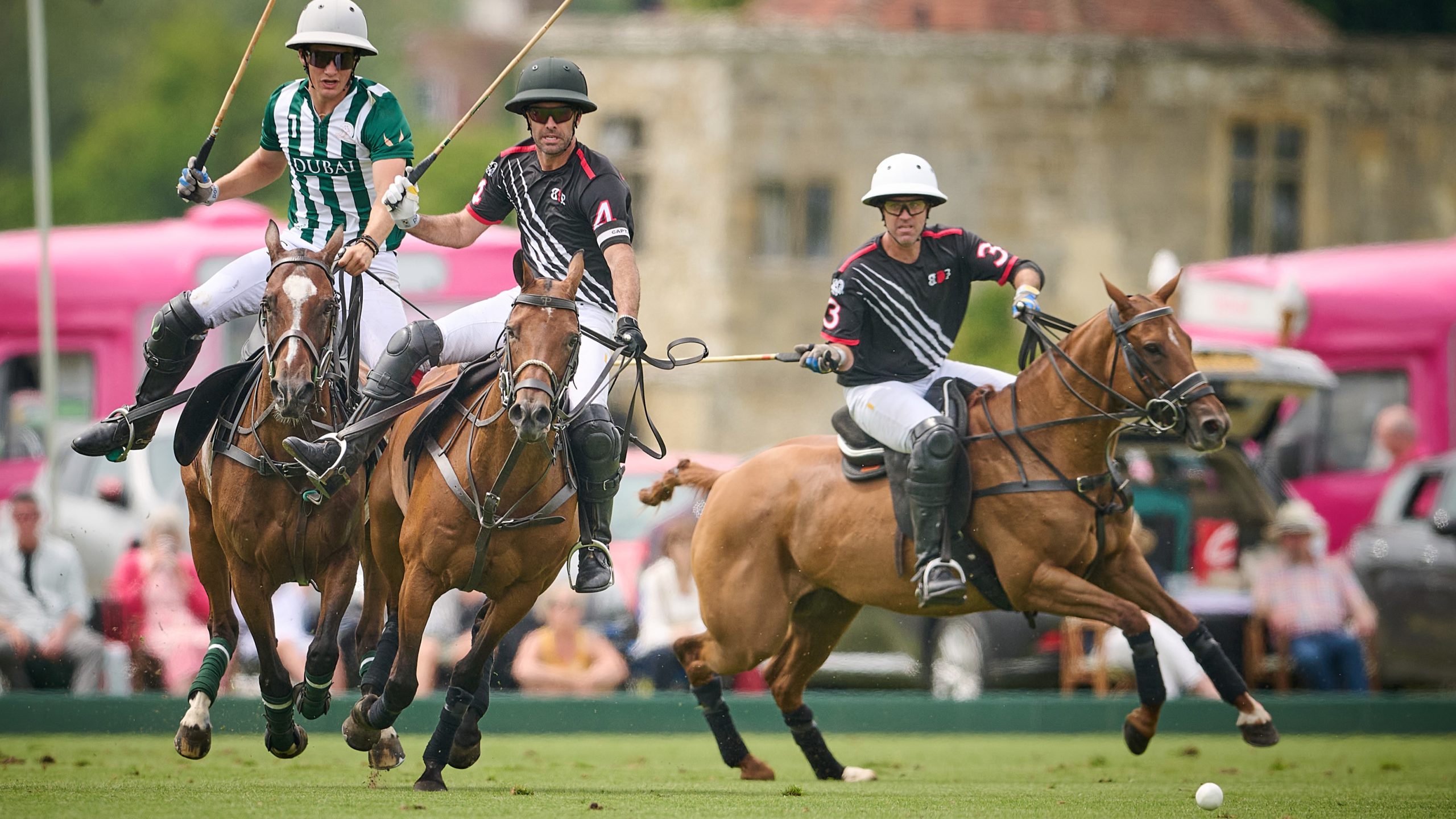 PoloLine.TV | British Open 2024 - Dubai Polo vs Black Bears - Highlight