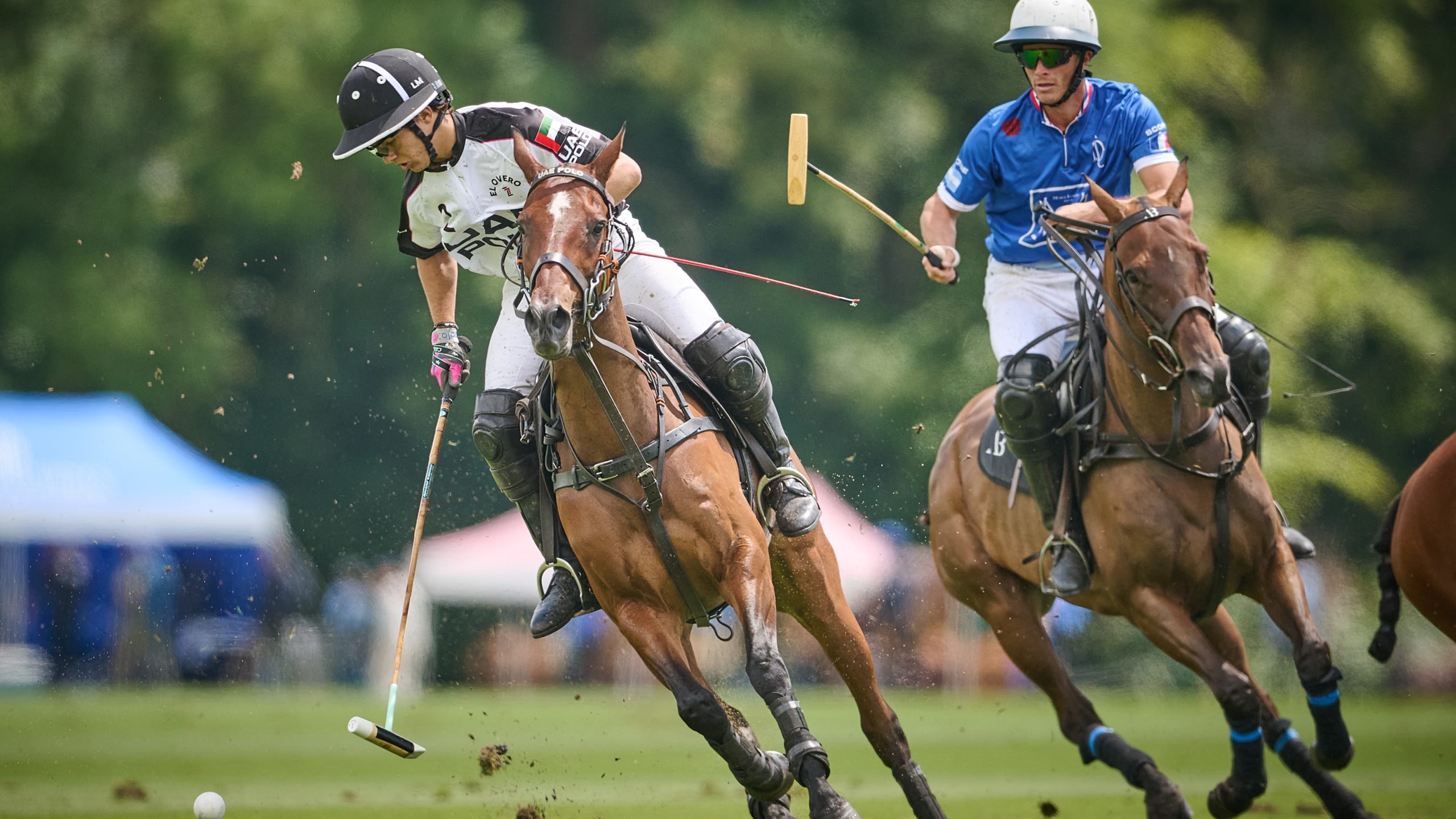 PoloLine.TV | British Open 2024 - La Dolfina Murus Sanctus vs Uae Polo ...