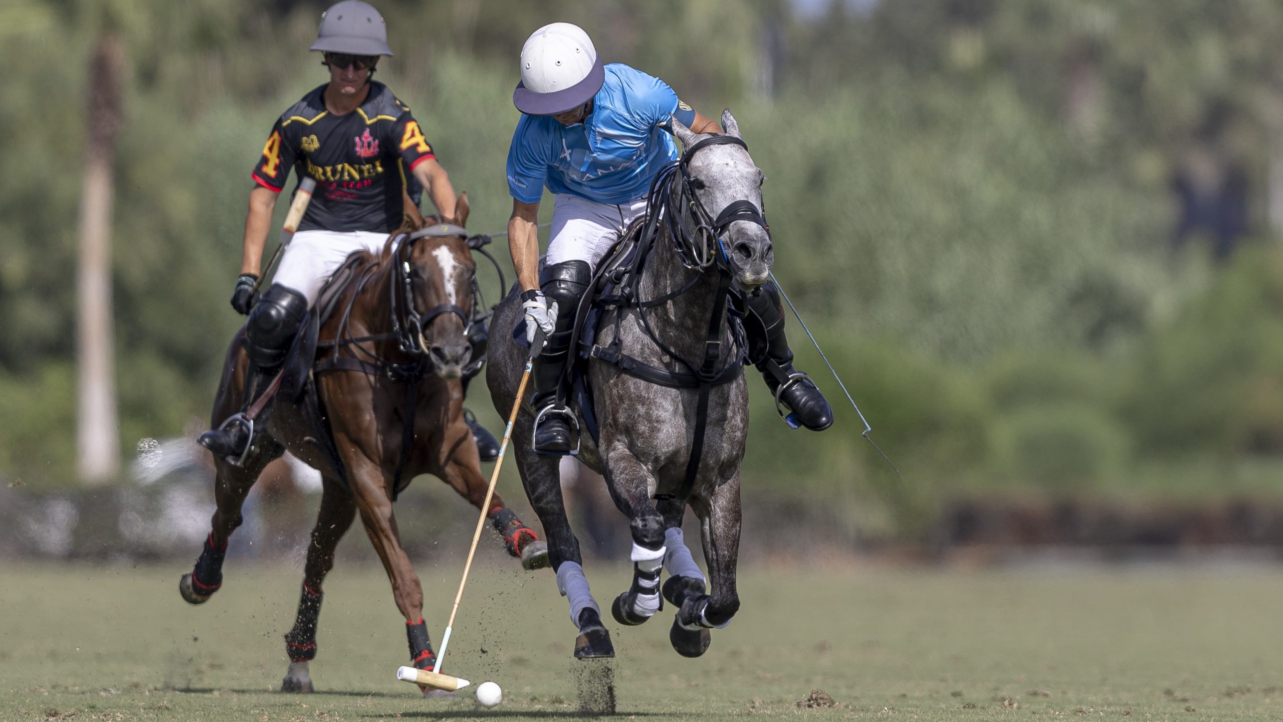 PoloLine.TV | Copa de Oro Semifinal 2024 Mediano – Amanara vs Brunei