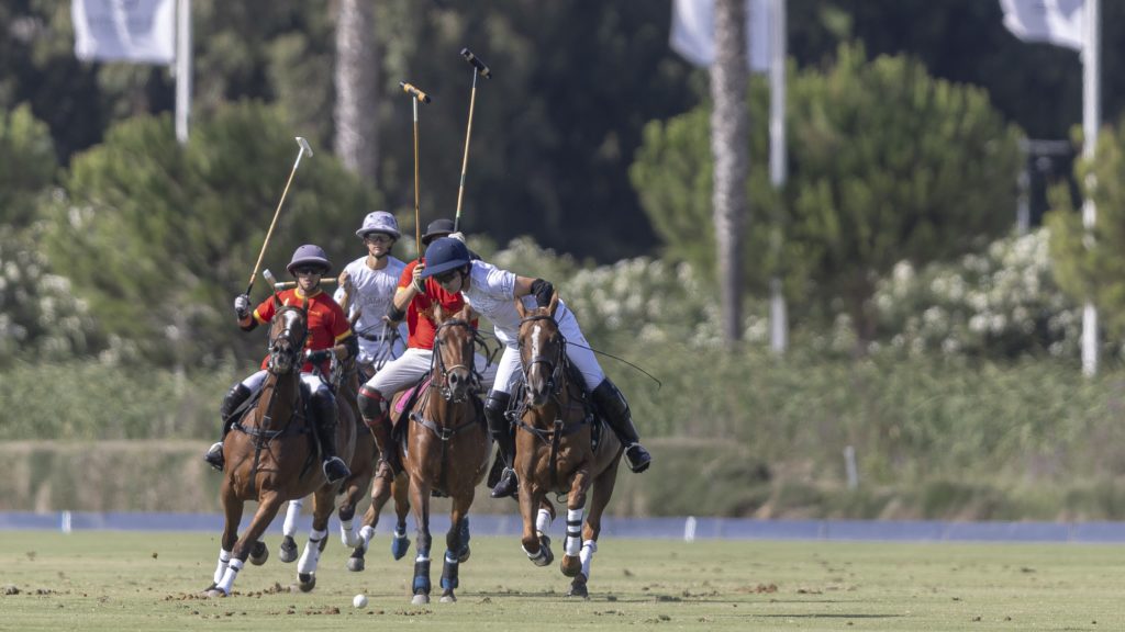 PoloLine.TV | USPA Midwest Open 14 Goal - PFP v CD Peacock