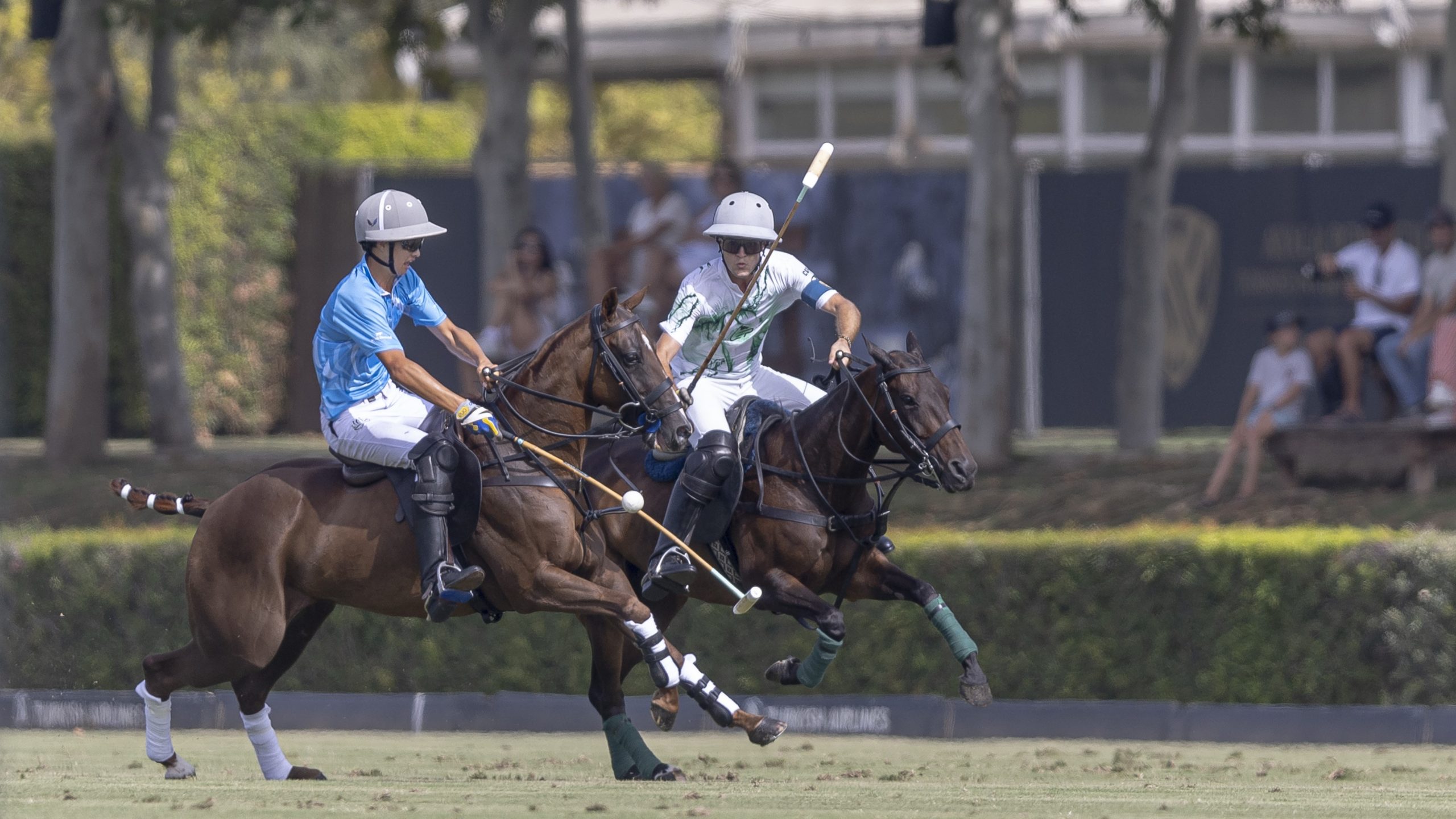PoloLine.TV | Copa de Oro 2024 Mediano - Amanara vs Electric Polo