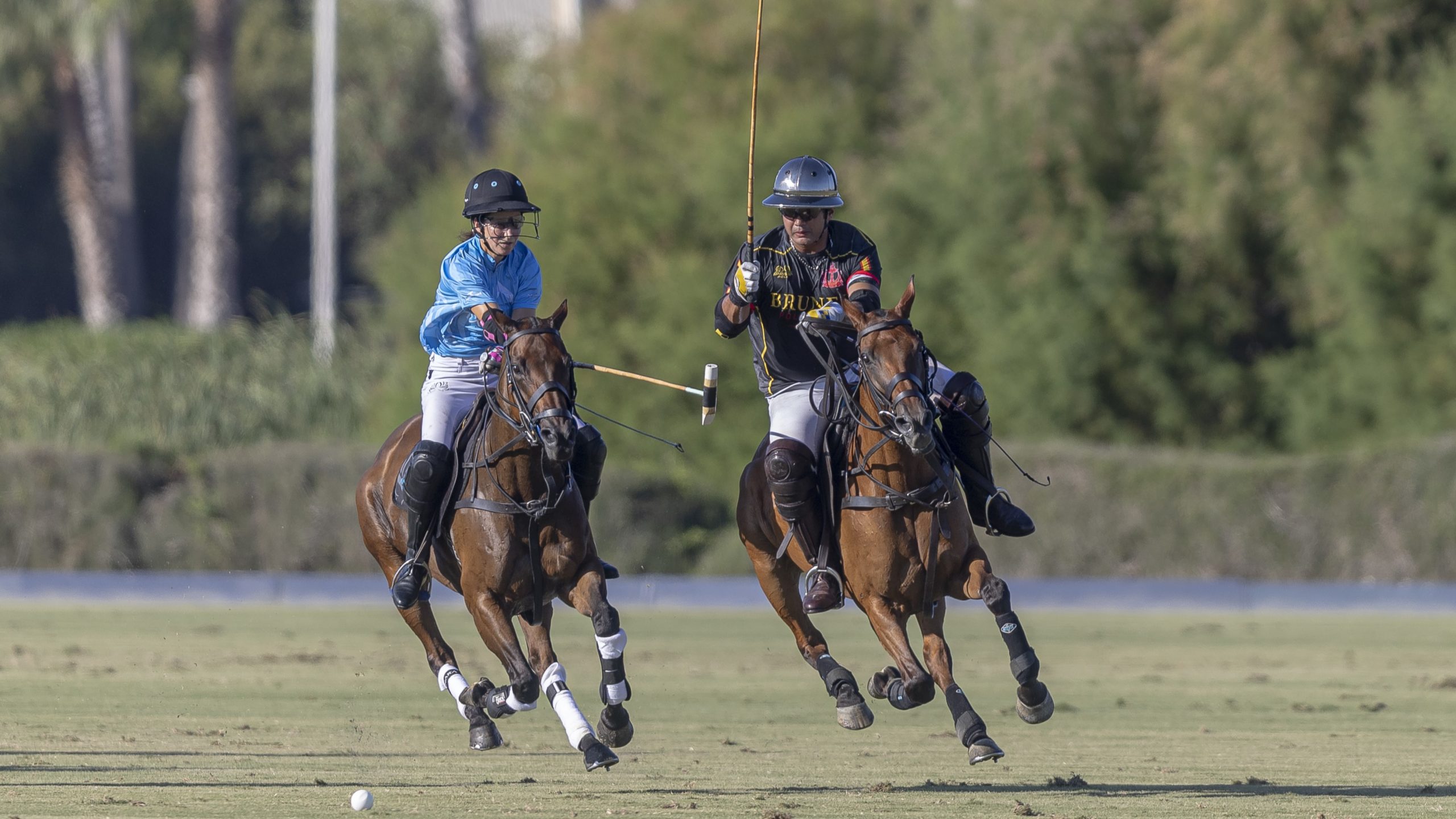 PoloLine.TV | Copa de Oro 2024 Mediano - Brunei vs Amanara