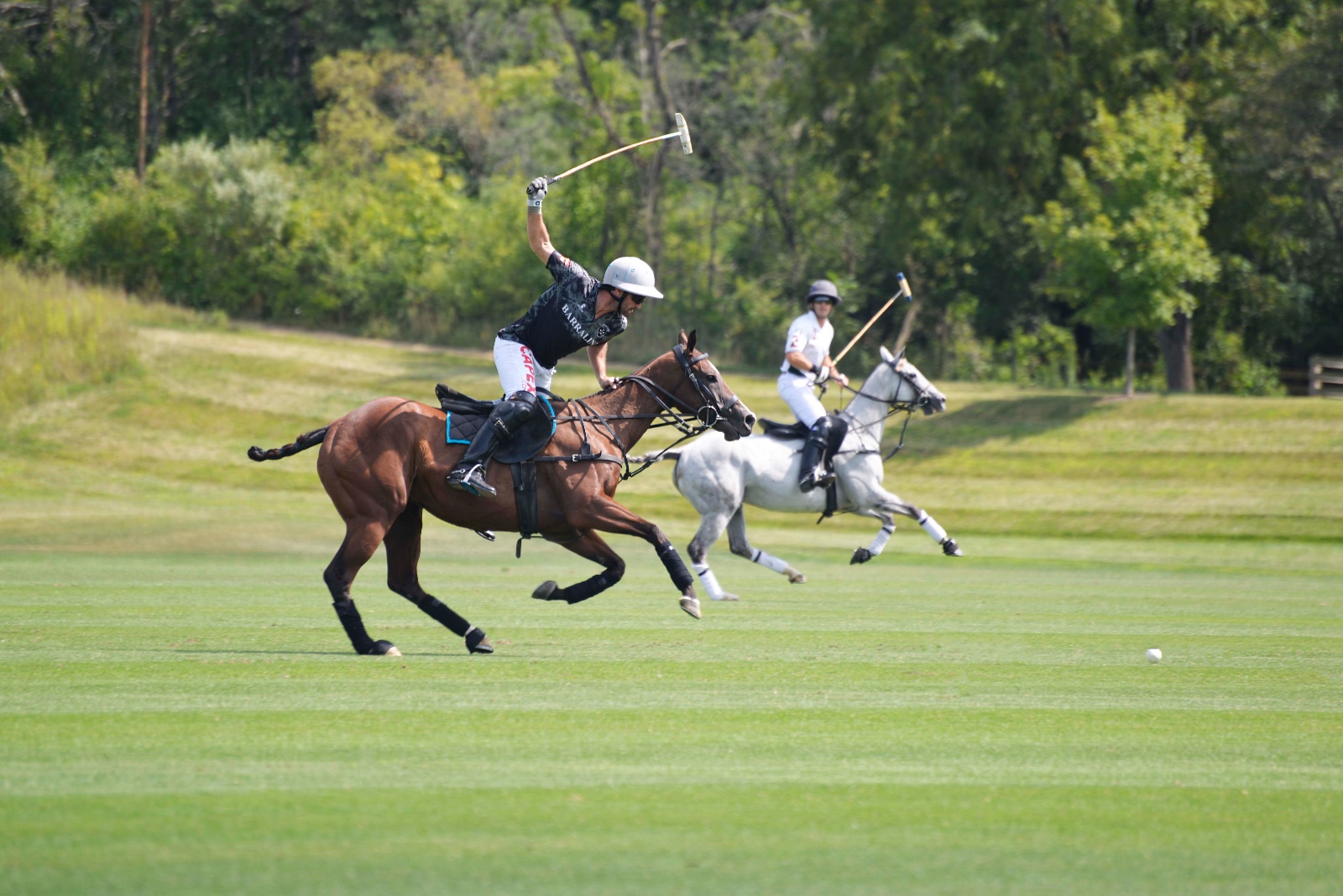 PoloLine.TV | GREAT LAKES CLASSIC 14 GOAL Subsidiary Semifinal - PFP V ...