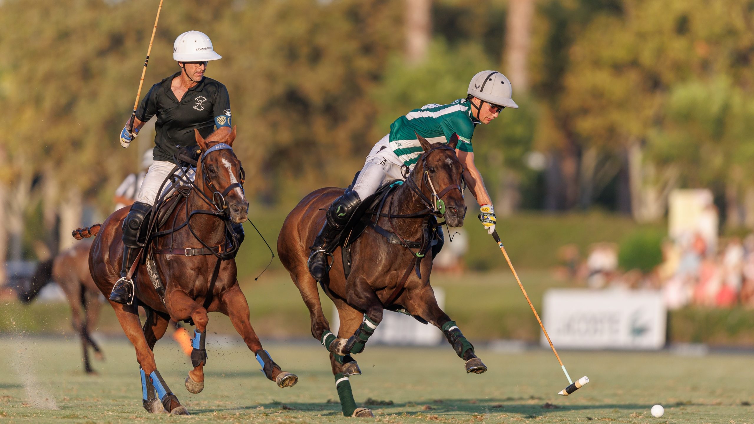 PoloLine.TV | Final Copa de Plata Alto 2024 - Dubai Polo vs MB Polo ...