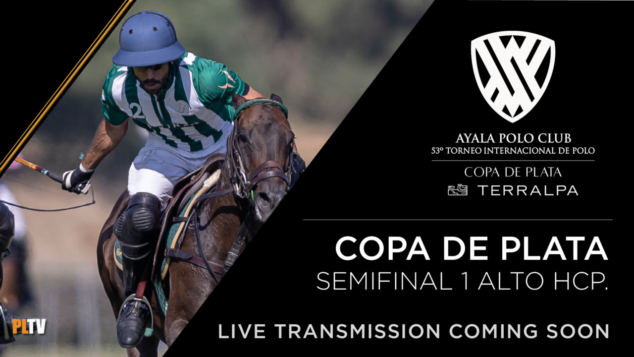 PoloLine.TV | LIVE