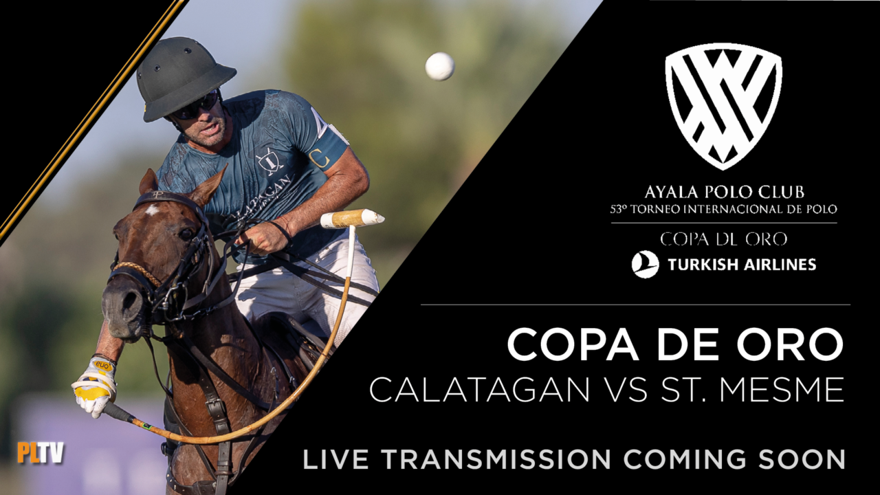 PoloLine.TV | LIVE