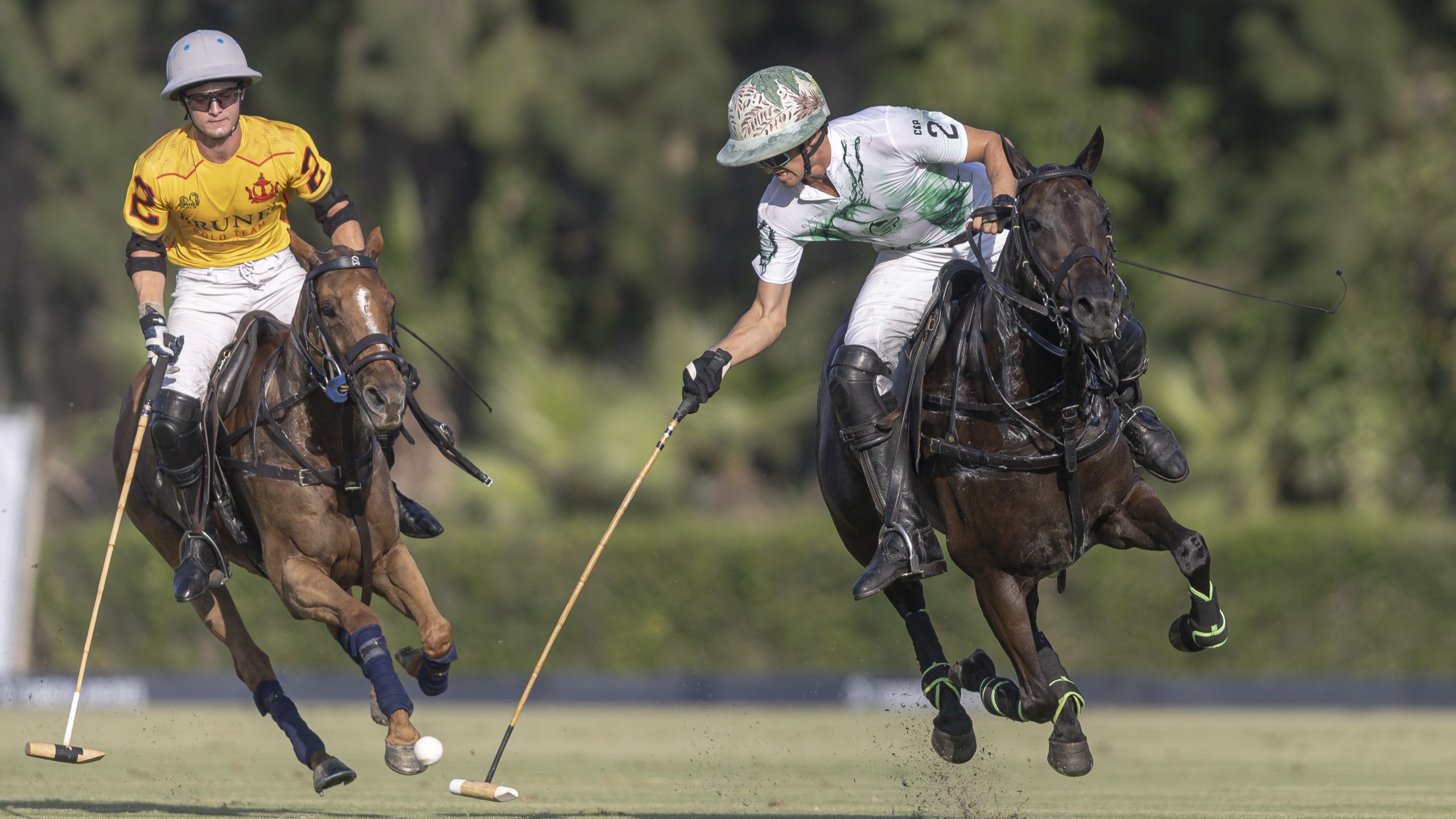 PoloLine.TV | Copa De Plata Mediano 2024 - Electric Polo vs Brunei