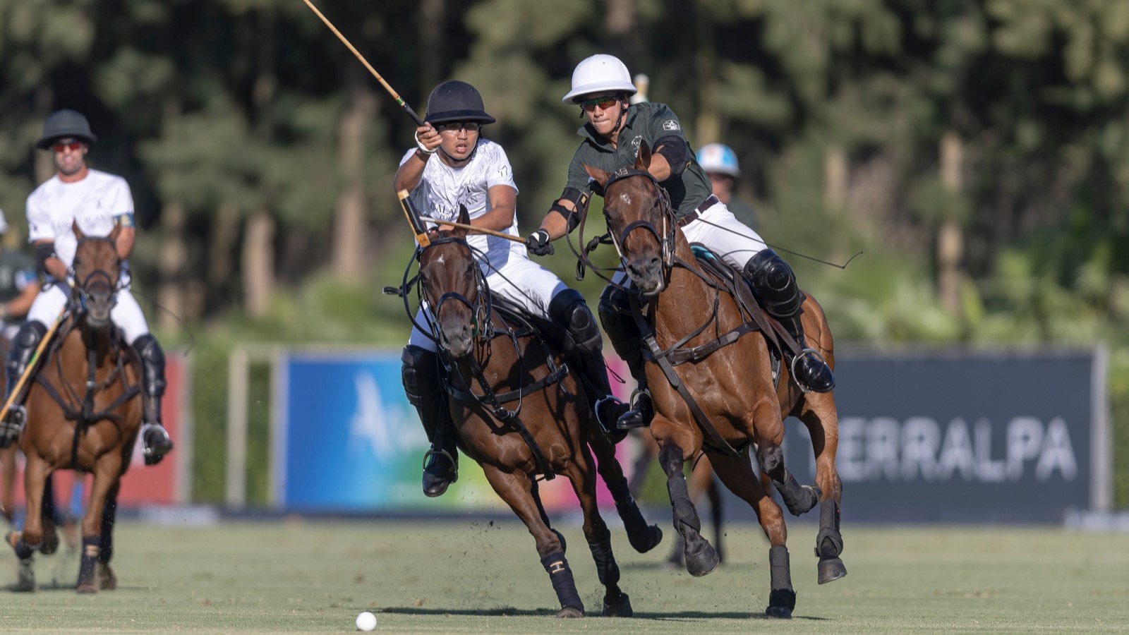PoloLine.TV | HIGHLIGHTS