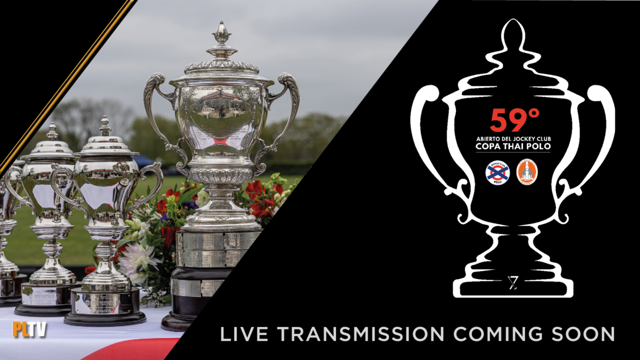 PoloLine.TV | LIVE