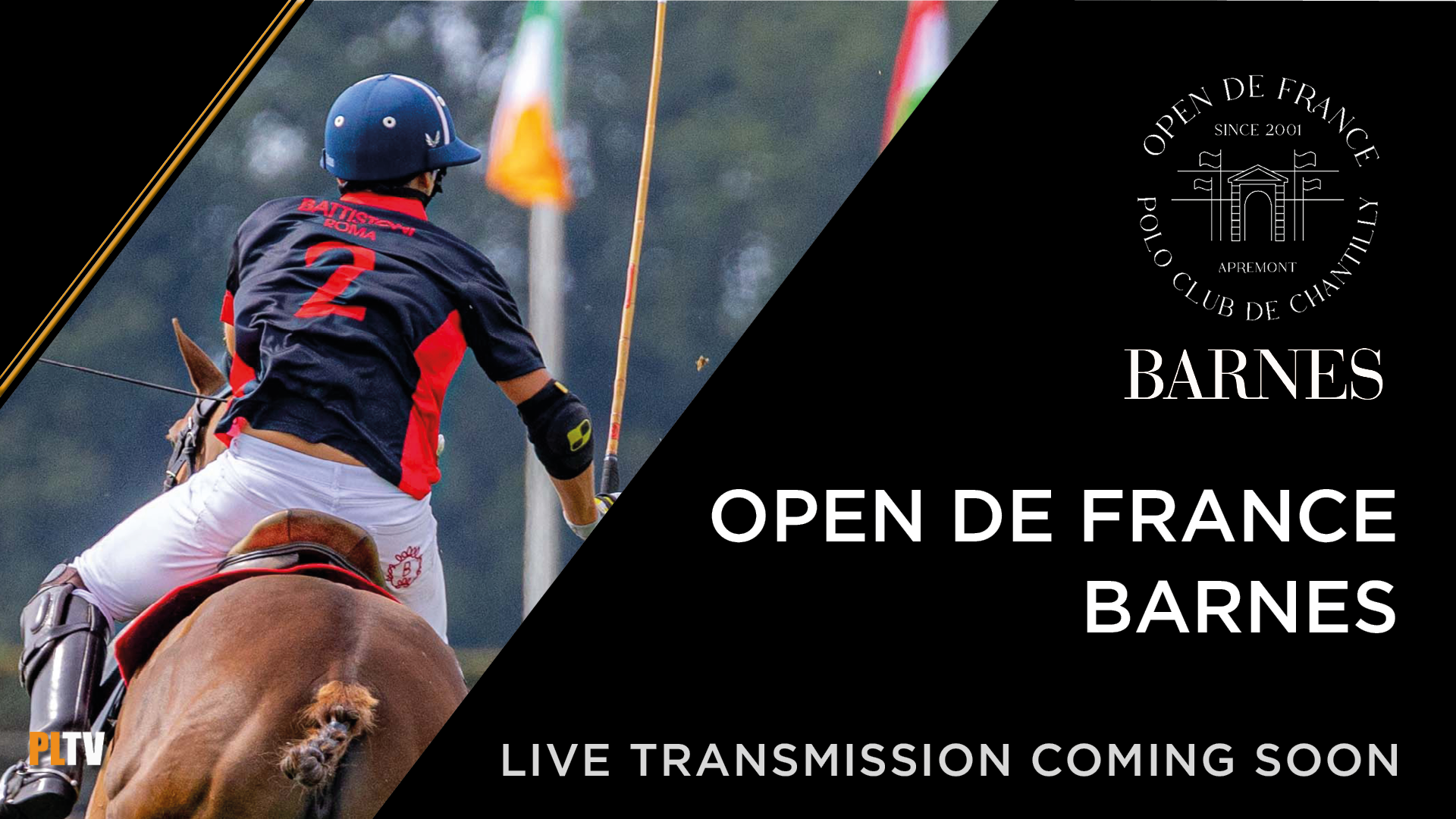 PoloLine.TV | LIVE
