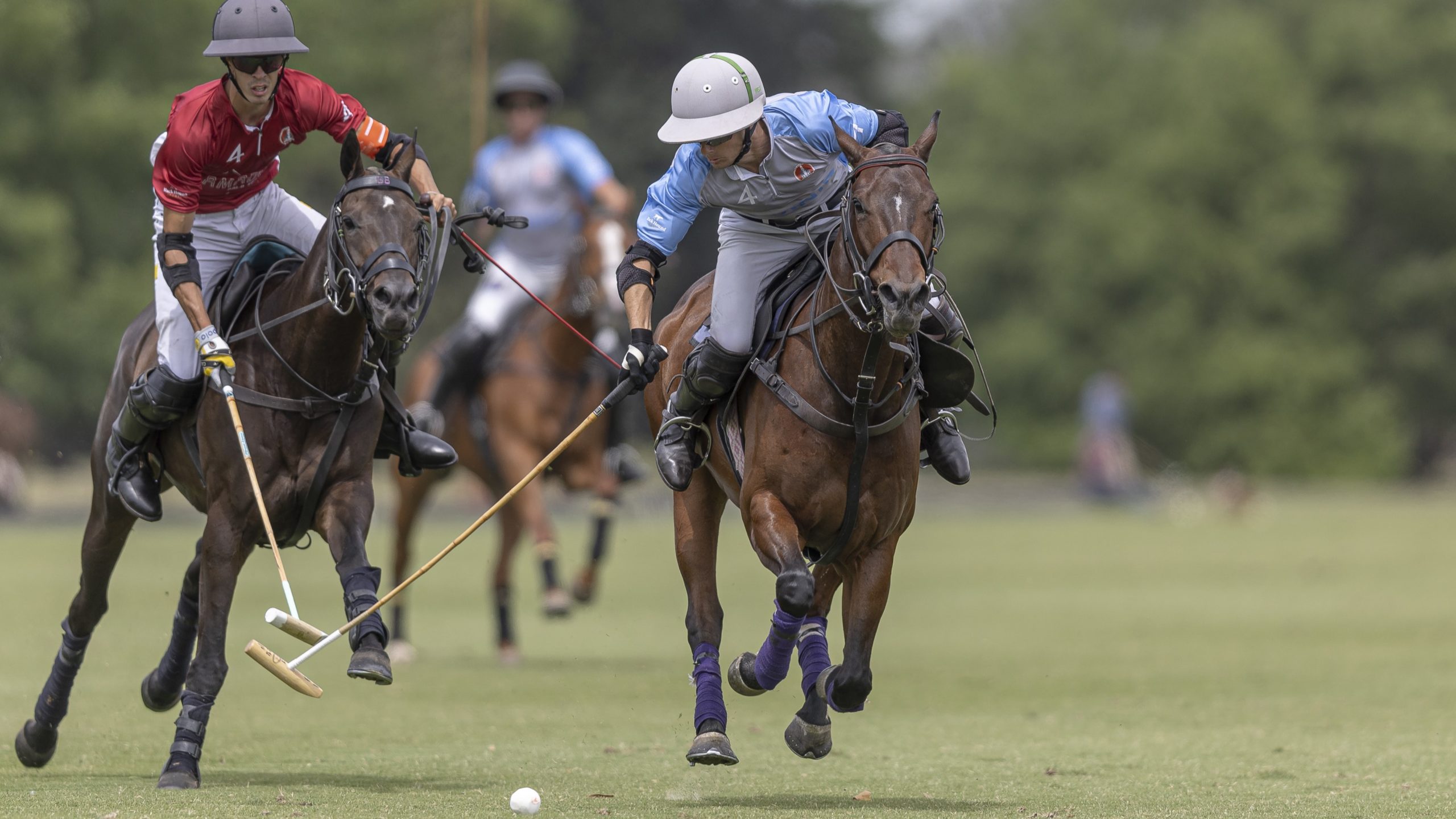 PoloLine.TV | Thai Polo Cup 2024 - Amadeus vs Lavinia