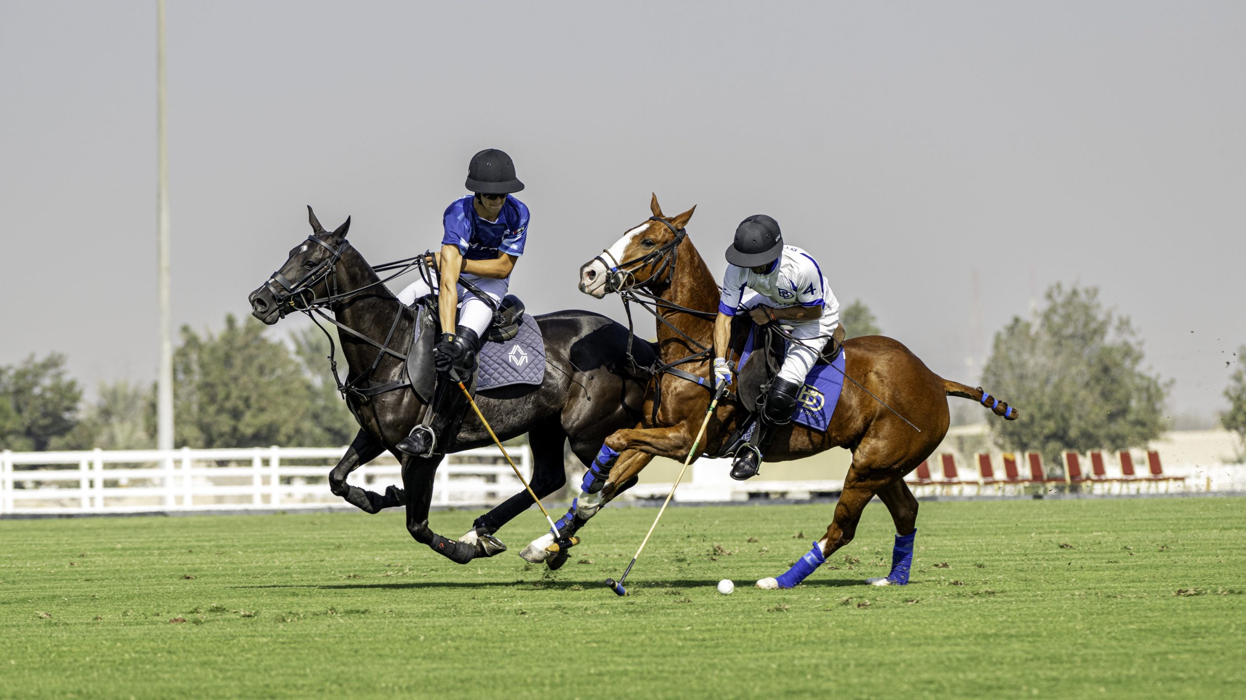 PoloLine.TV | Emirates Polo Championship 2025 – Bin Drai vs Am Polo
