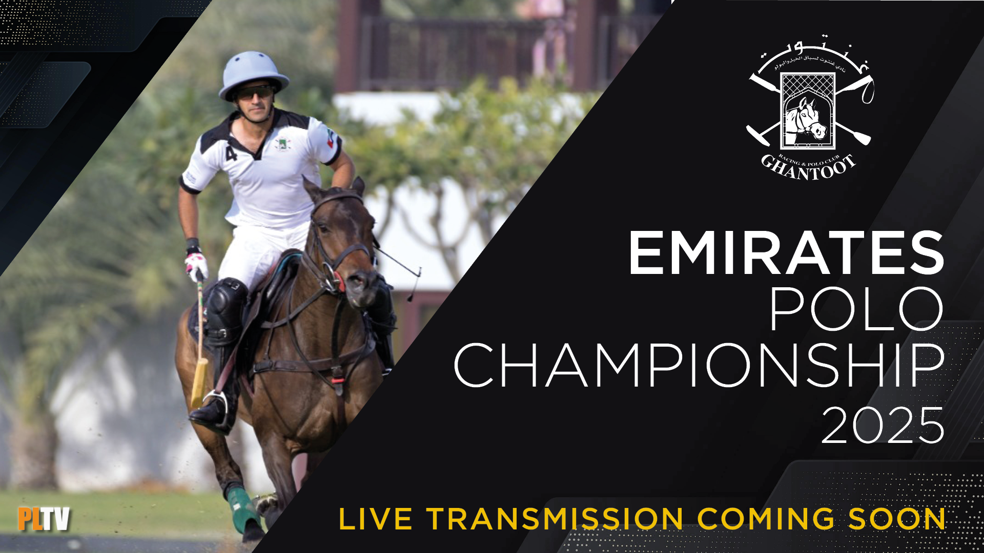 PoloLine.TV | LIVE