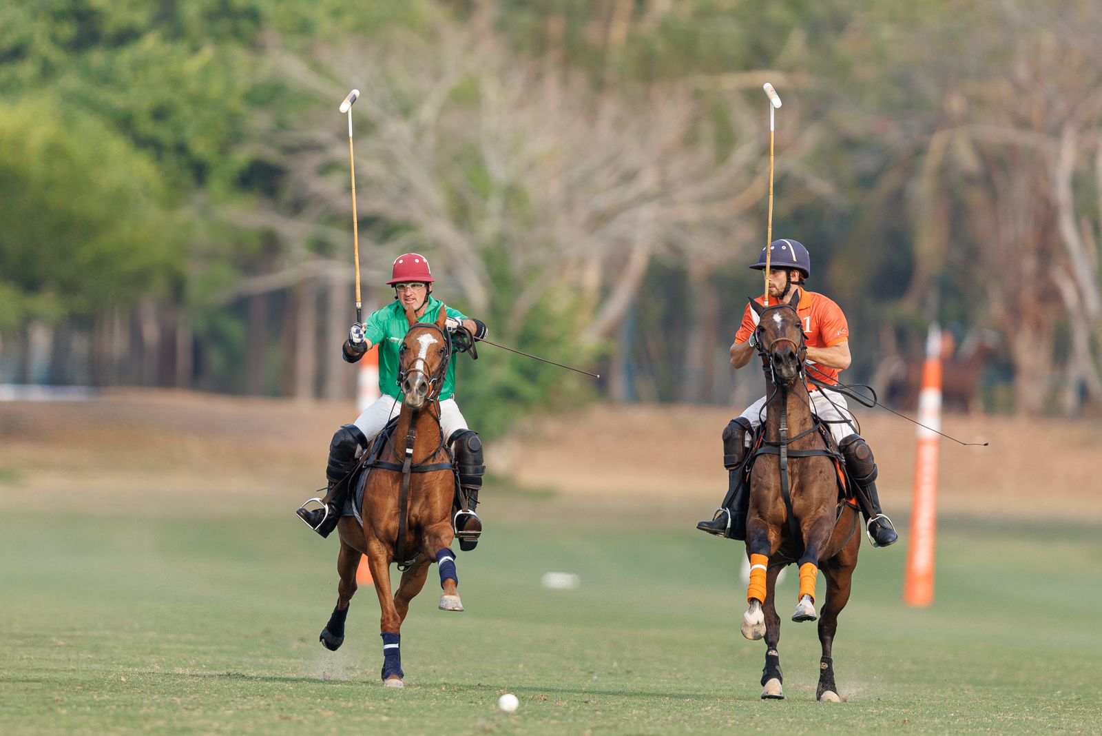 PoloLine.TV | Chinesse New Year Cup 2025 - Macau v Thai Polo Team