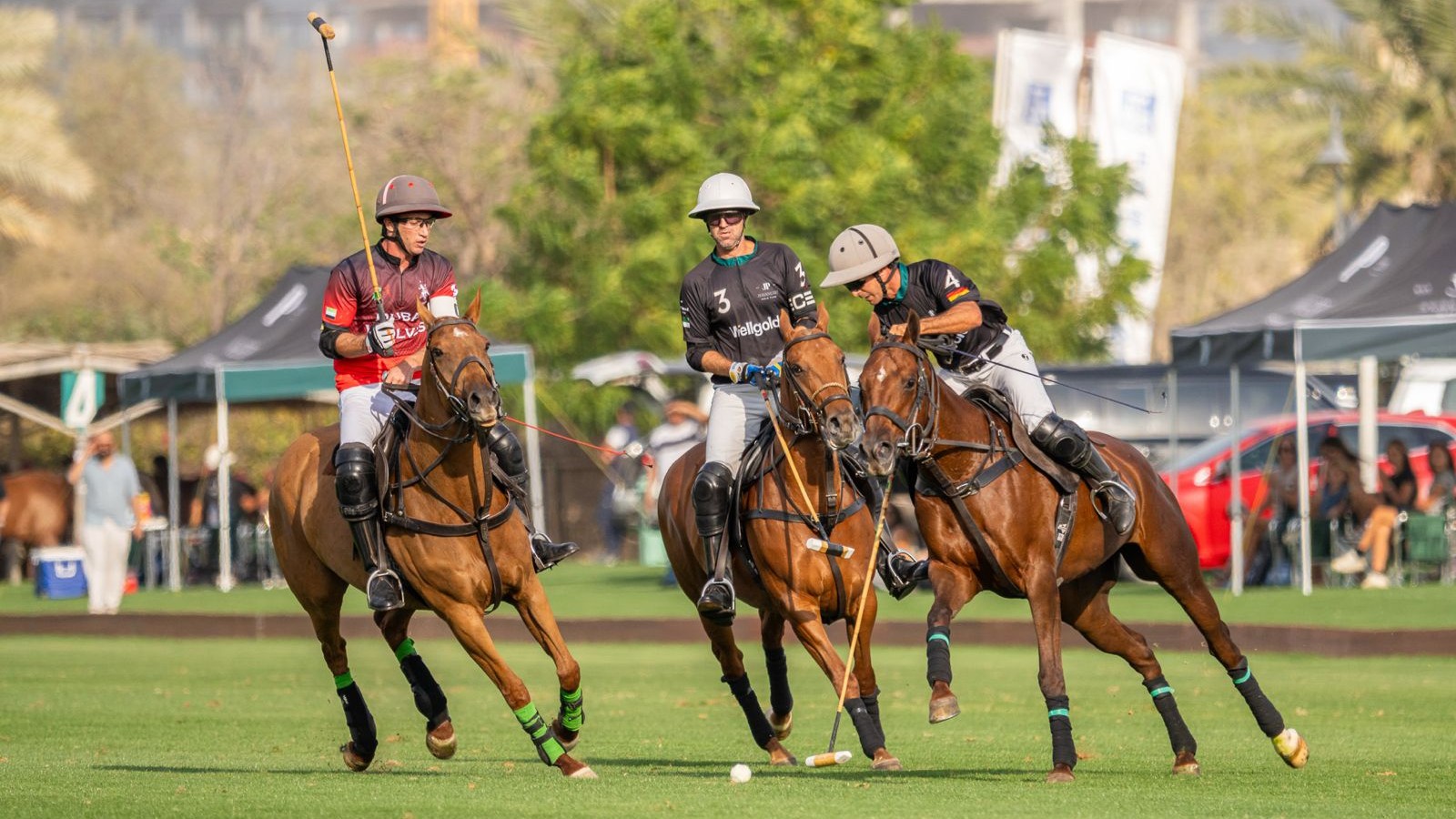 PoloLine.TV | MATCHES