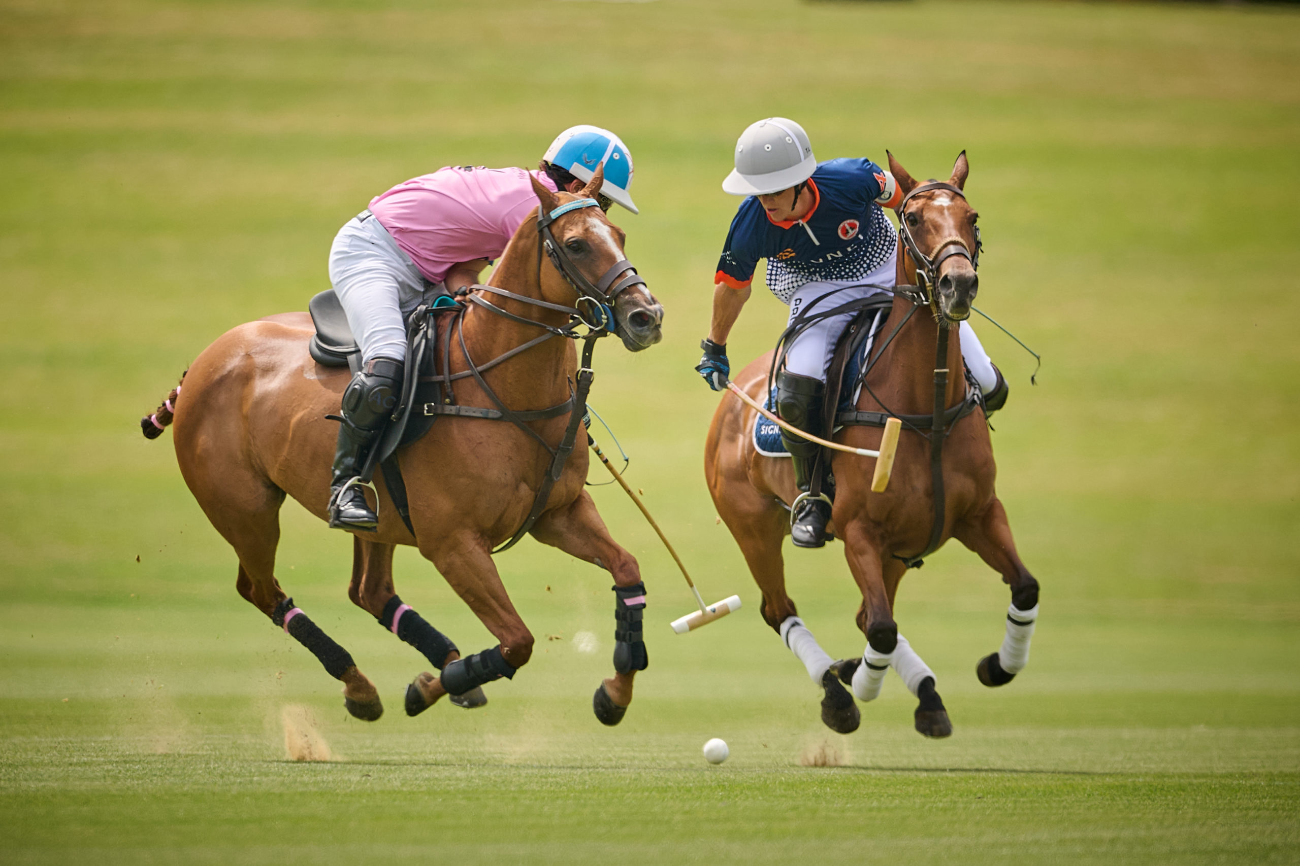 PoloLine.TV | British Open Championship for the Cowdray Gold Cup 2025 ...