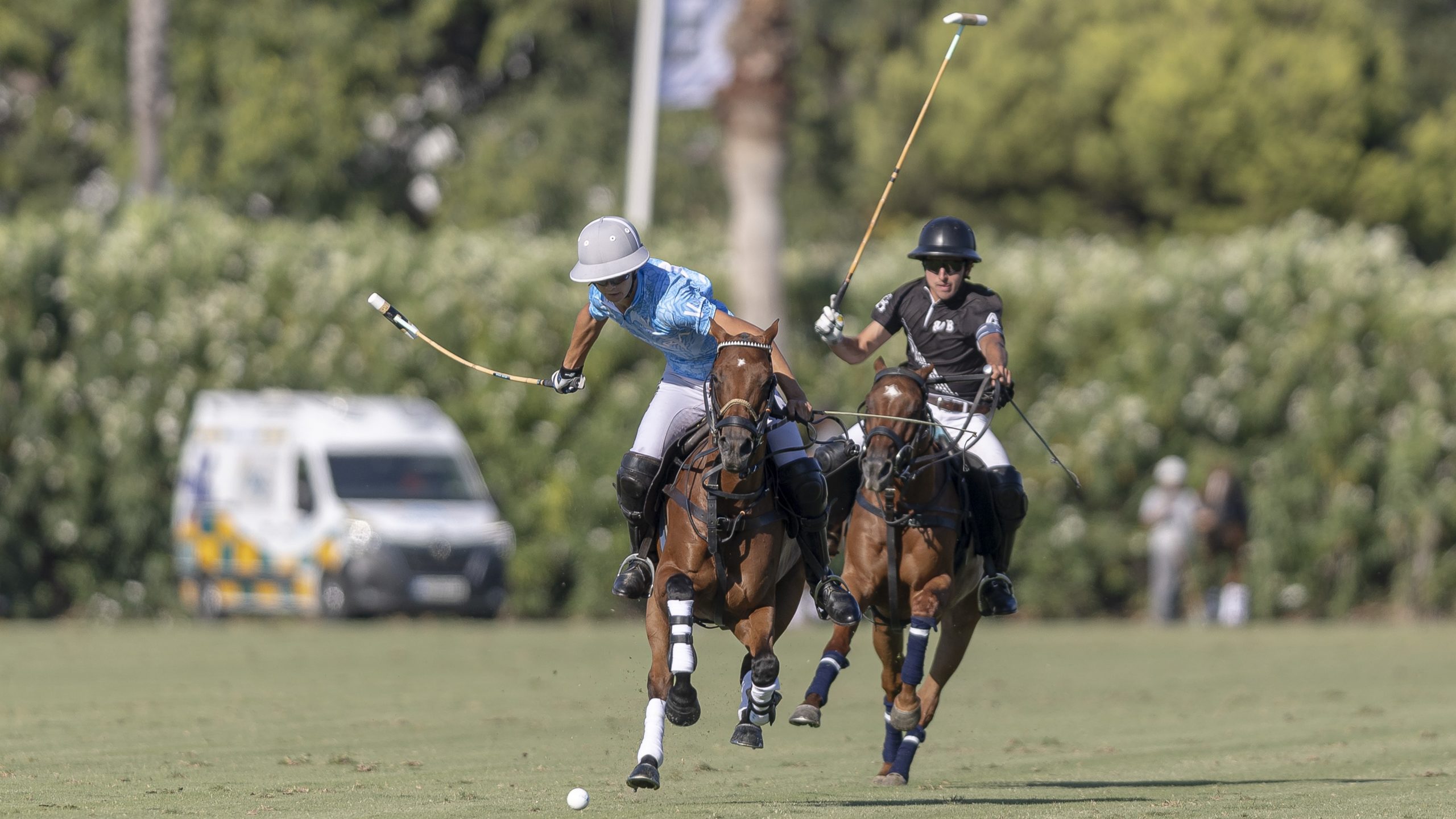 PoloLine.TV | Copa Bronce 2025 -Alto - Amanara vs Black Bears