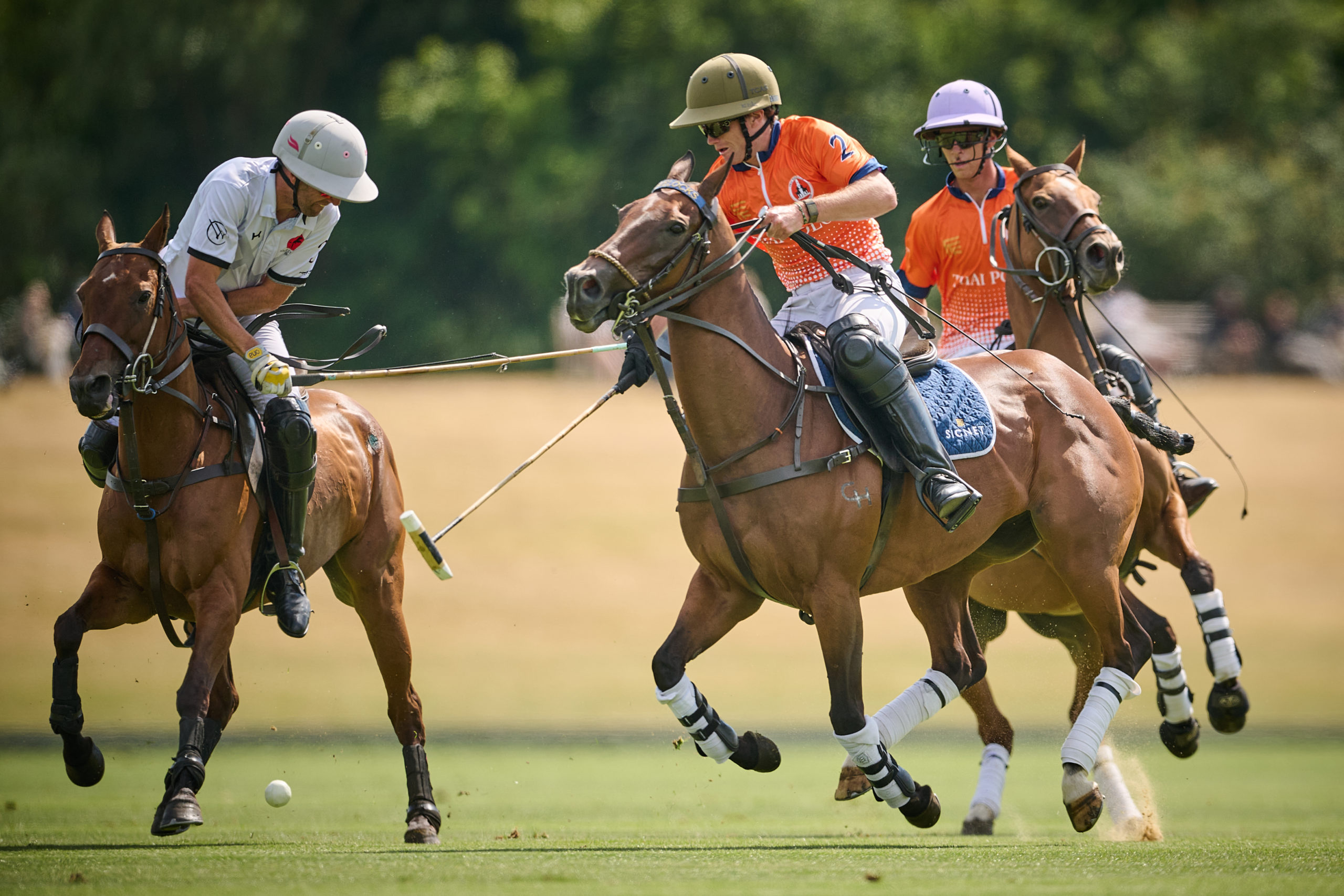 PoloLine.TV | British Open 2025 - White Crane vs Signet/Thai Polo