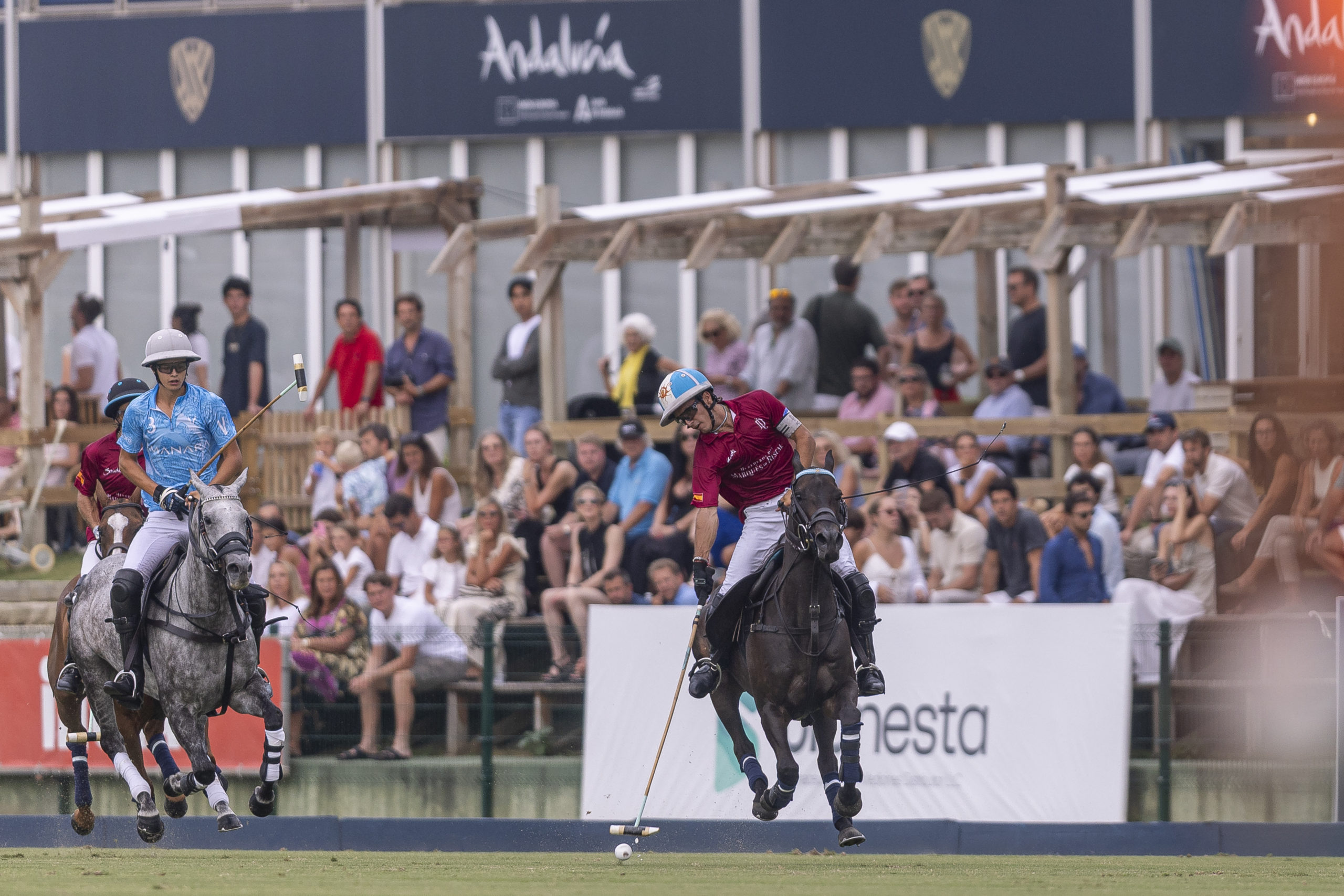 PoloLine.TV | Copa de Oro Alto 2025 - Amanara vs La Dolfina Marques de ...