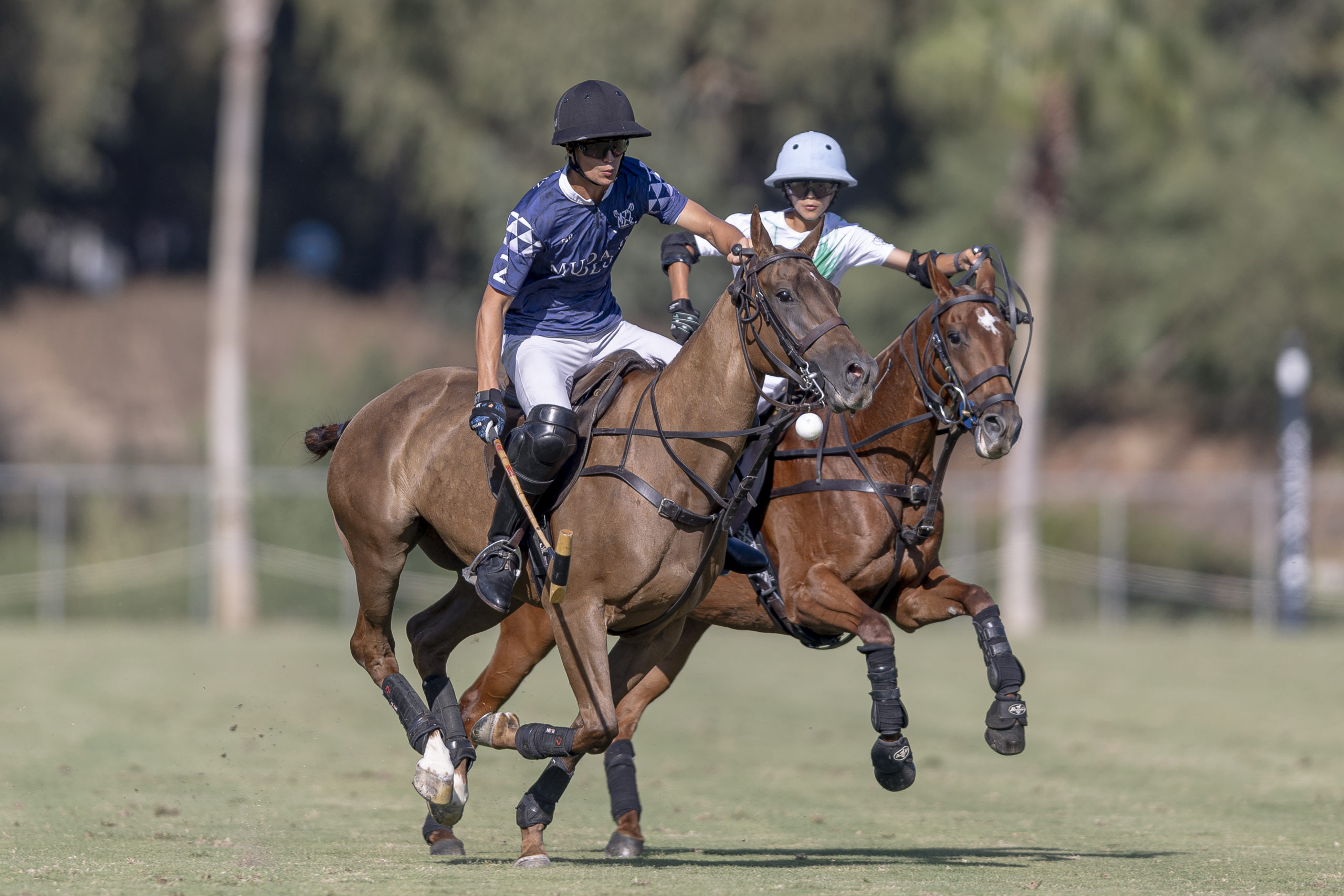 PoloLine.TV | Copa de Plata 2025 - Mediano - Electric Polo vs Muda IZ Polo
