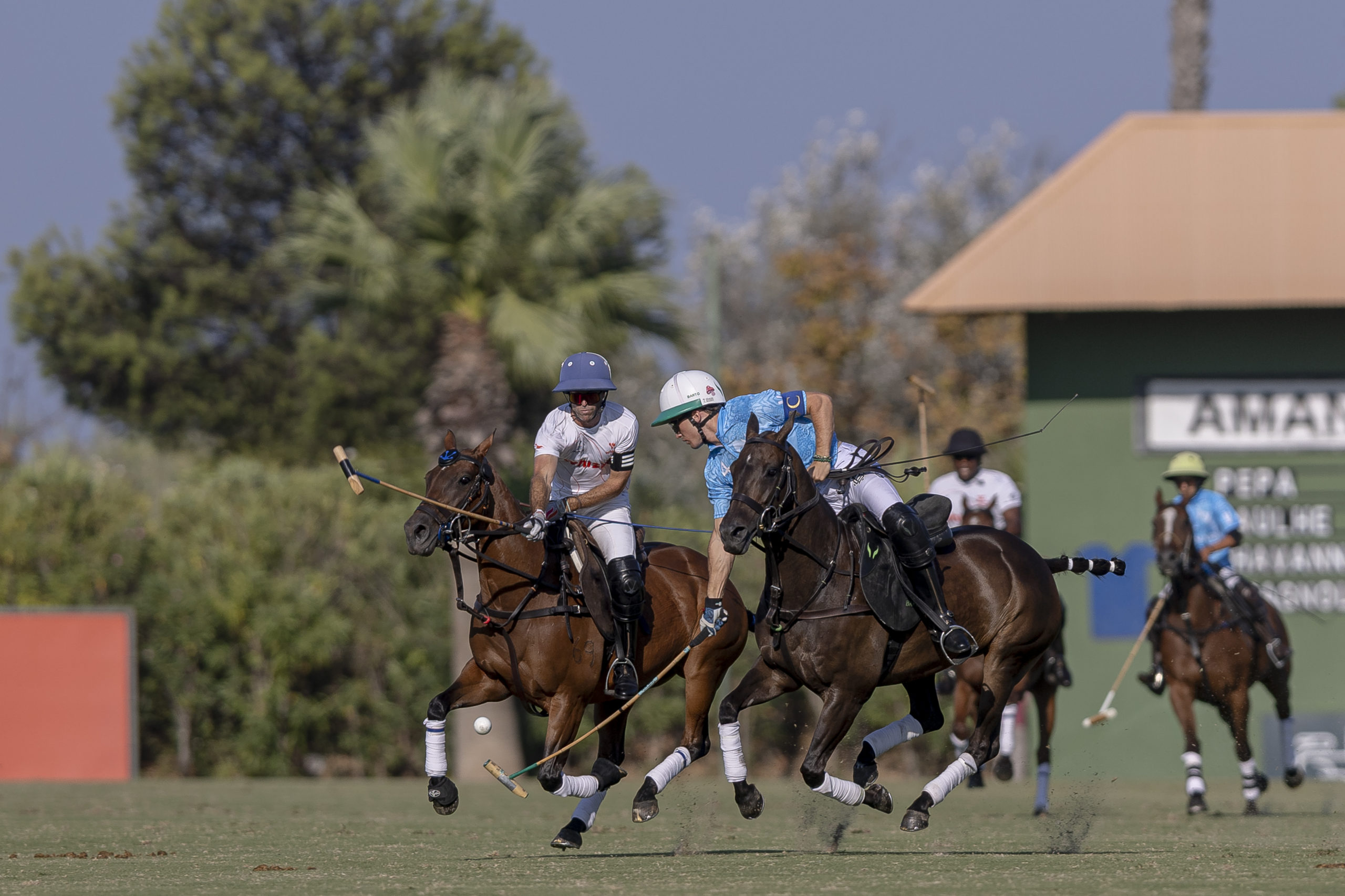 PoloLine.TV | Copa de Oro Alto 2025 – Amanara vs Whizmo – Highlights