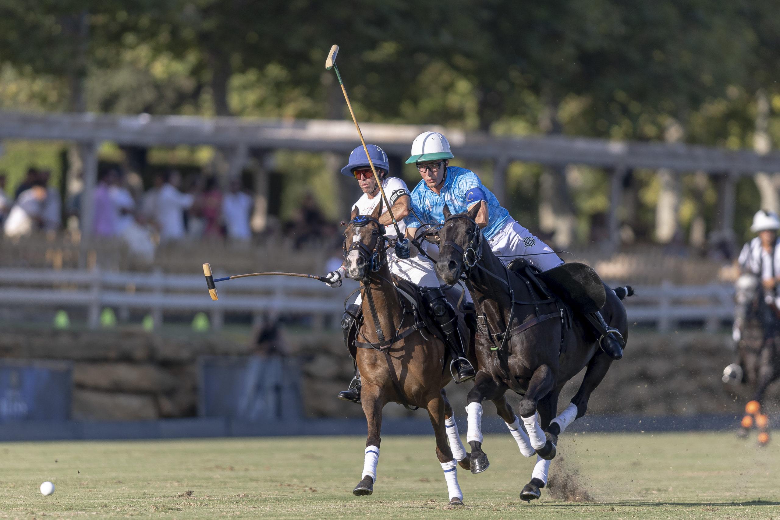 PoloLine.TV | Copa de Plata 2025 Alto - Amanara vs Whizmo - Highlights