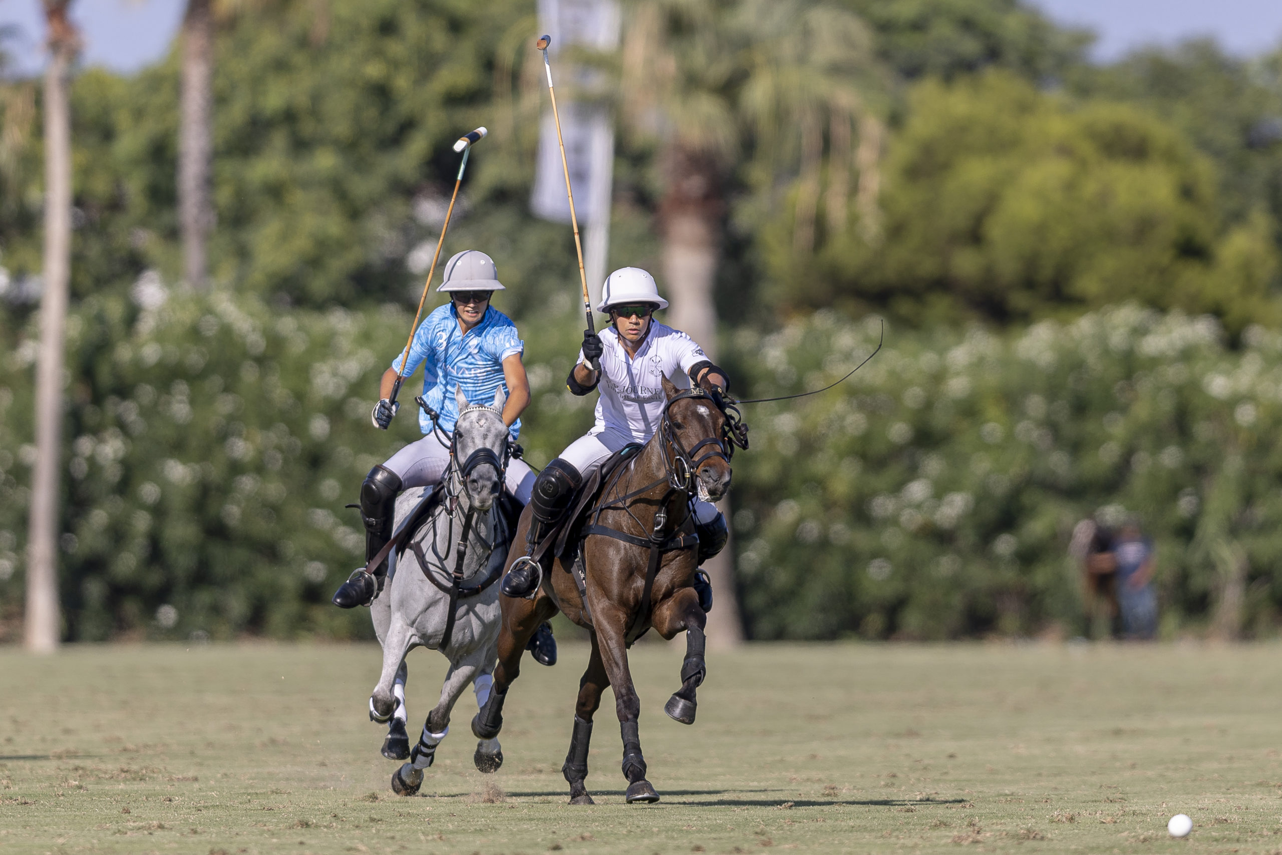 PoloLine.TV | Copa de Plata Semifinal 2025 – Alto – Amanara vs MB Polo Team