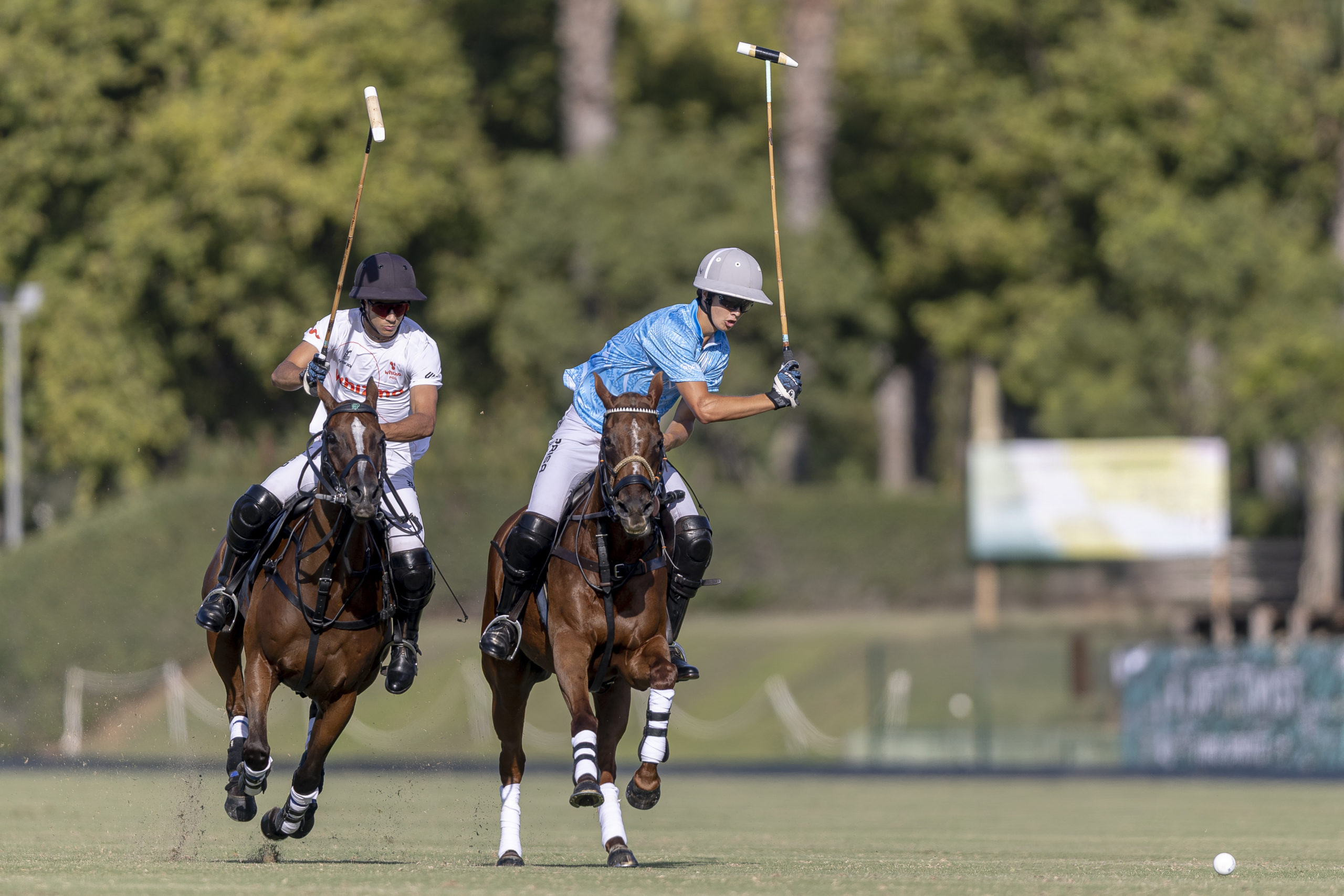 PoloLine.TV | Copa de Plata 2025 - Alto - Amanara vs Whizmo