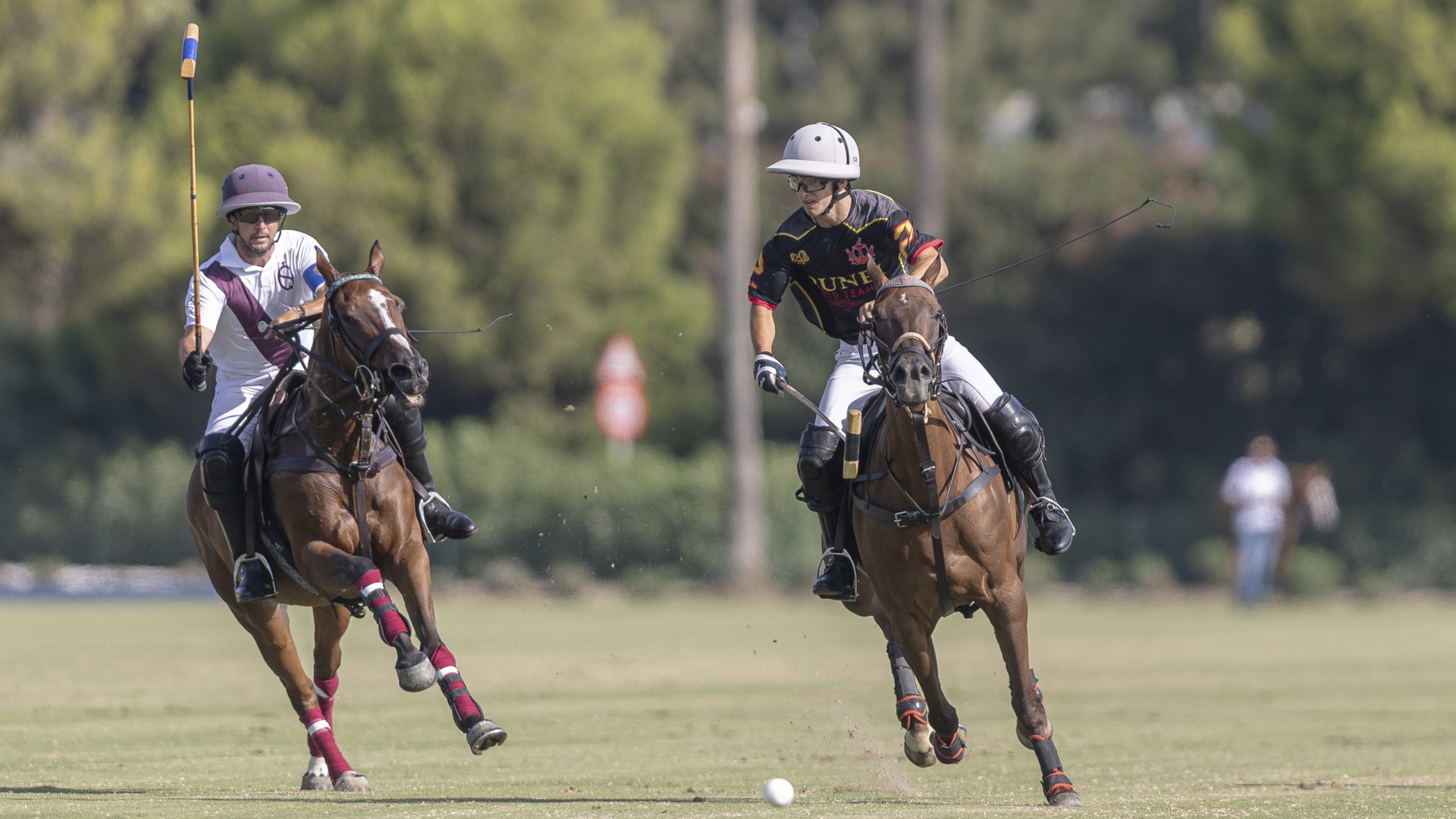 PoloLine.TV | Copa De Plata 2025 - Mediano Handicap - Brunei vs Santa Quiteria