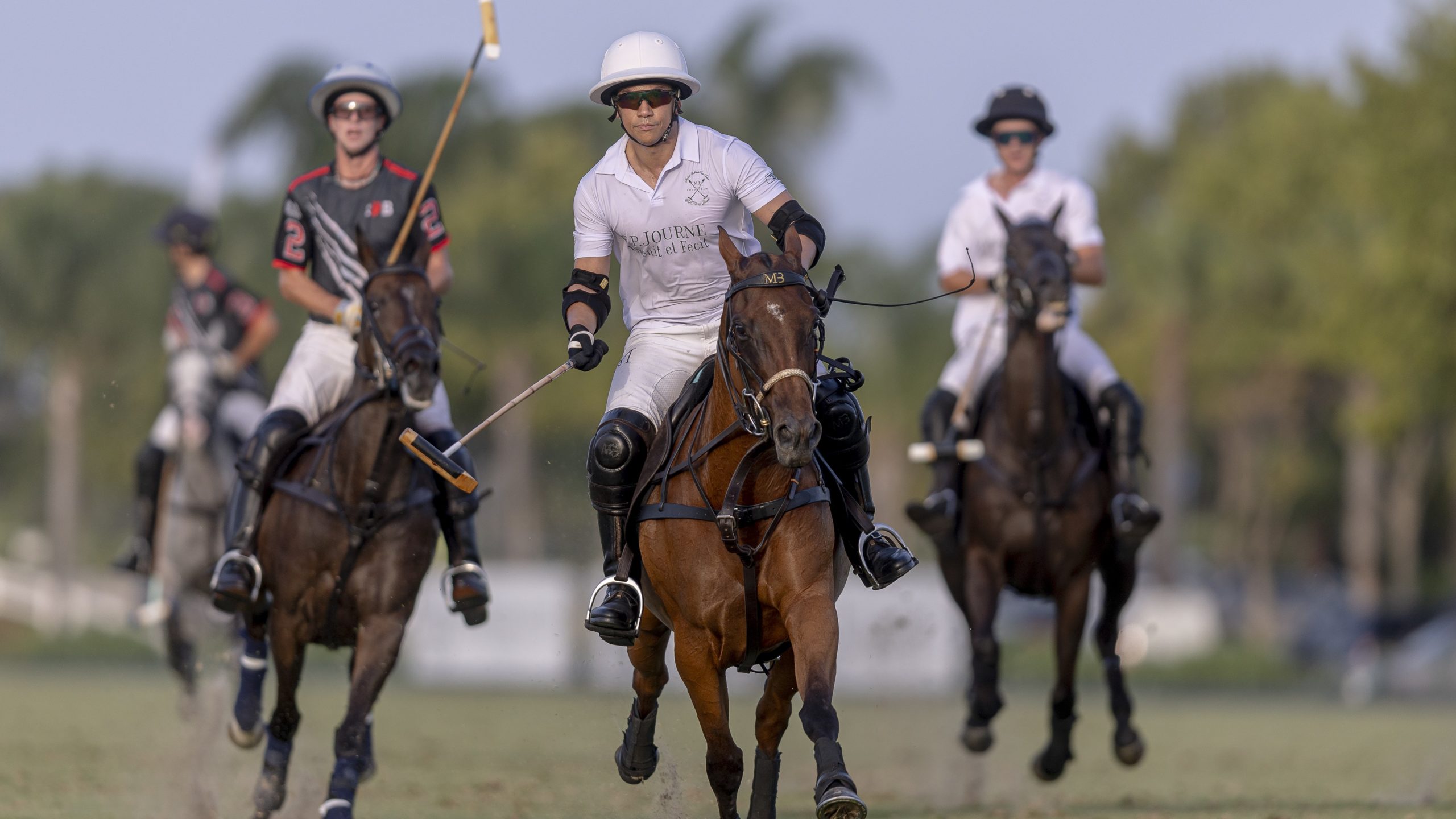 PoloLine.TV | Copa de Plata 2025 - Alto - Black Bears vs MB Polo Team