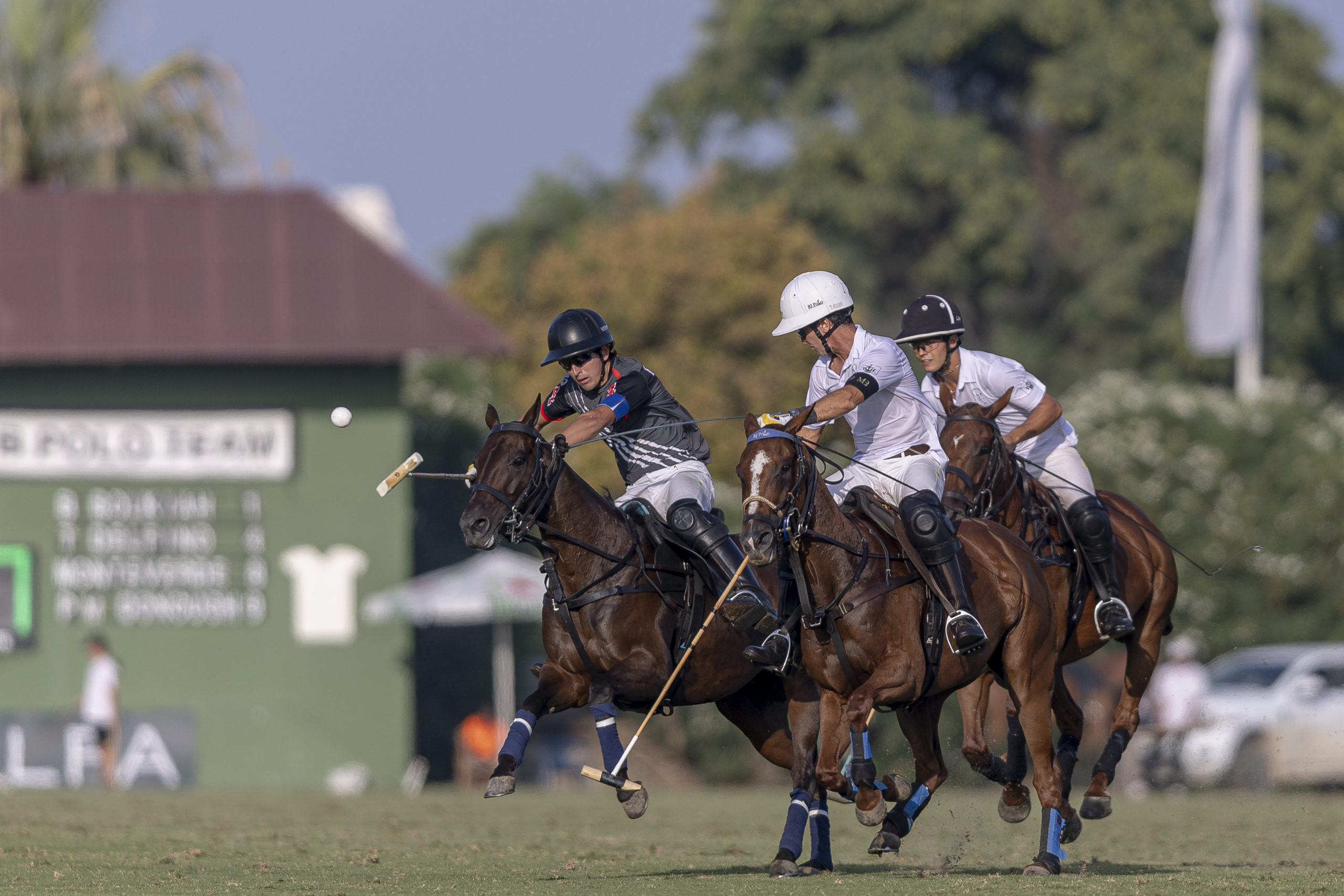 PoloLine.TV | Copa de Oro Alto 2025 - Alto - Black Bears vs MB Polo Team